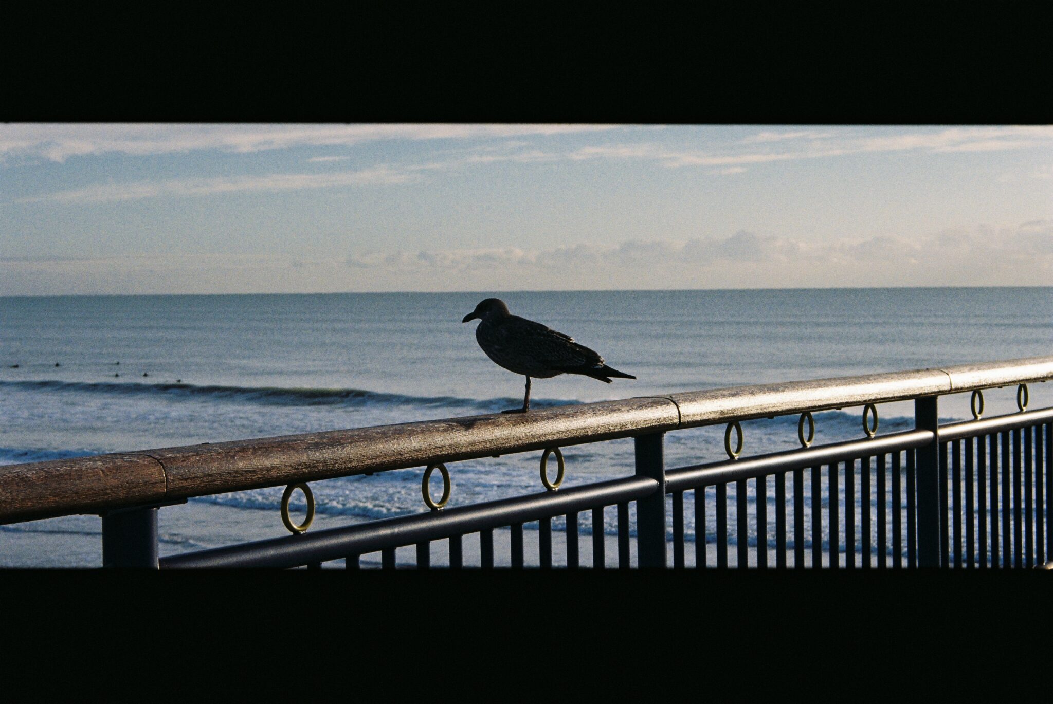 5 Frames with a Pentax MZ5 at the Beach - 35mmc