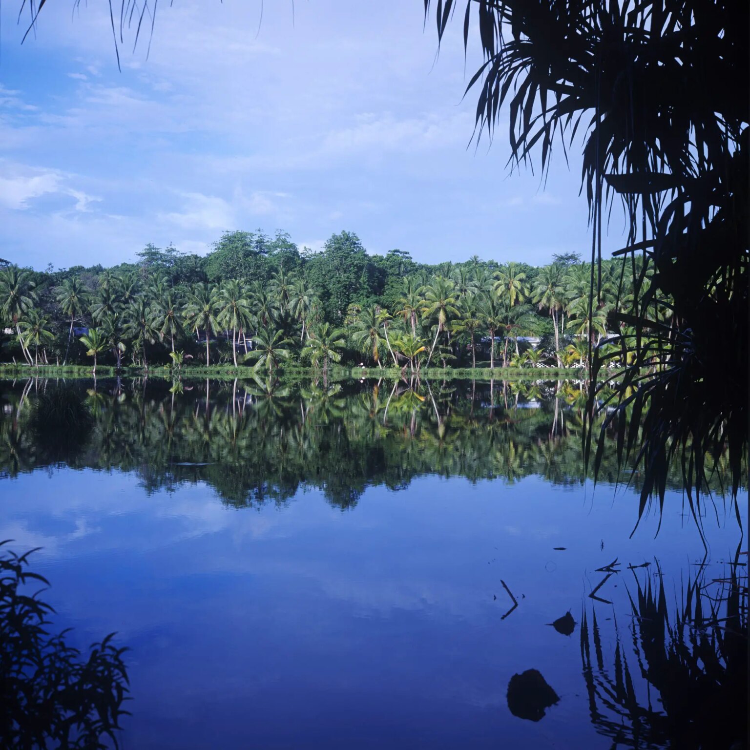 Rolleiflex 2.8F - Reflections on a Brief Period of Ownership - by Simon ...