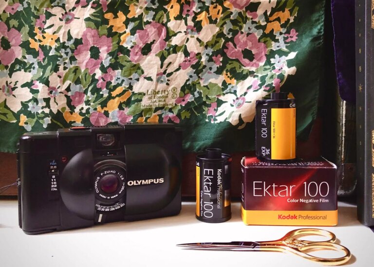 5 Frames with Kodak Ektar 100 at RHS Gardens Bridgewater, Salford - By ...