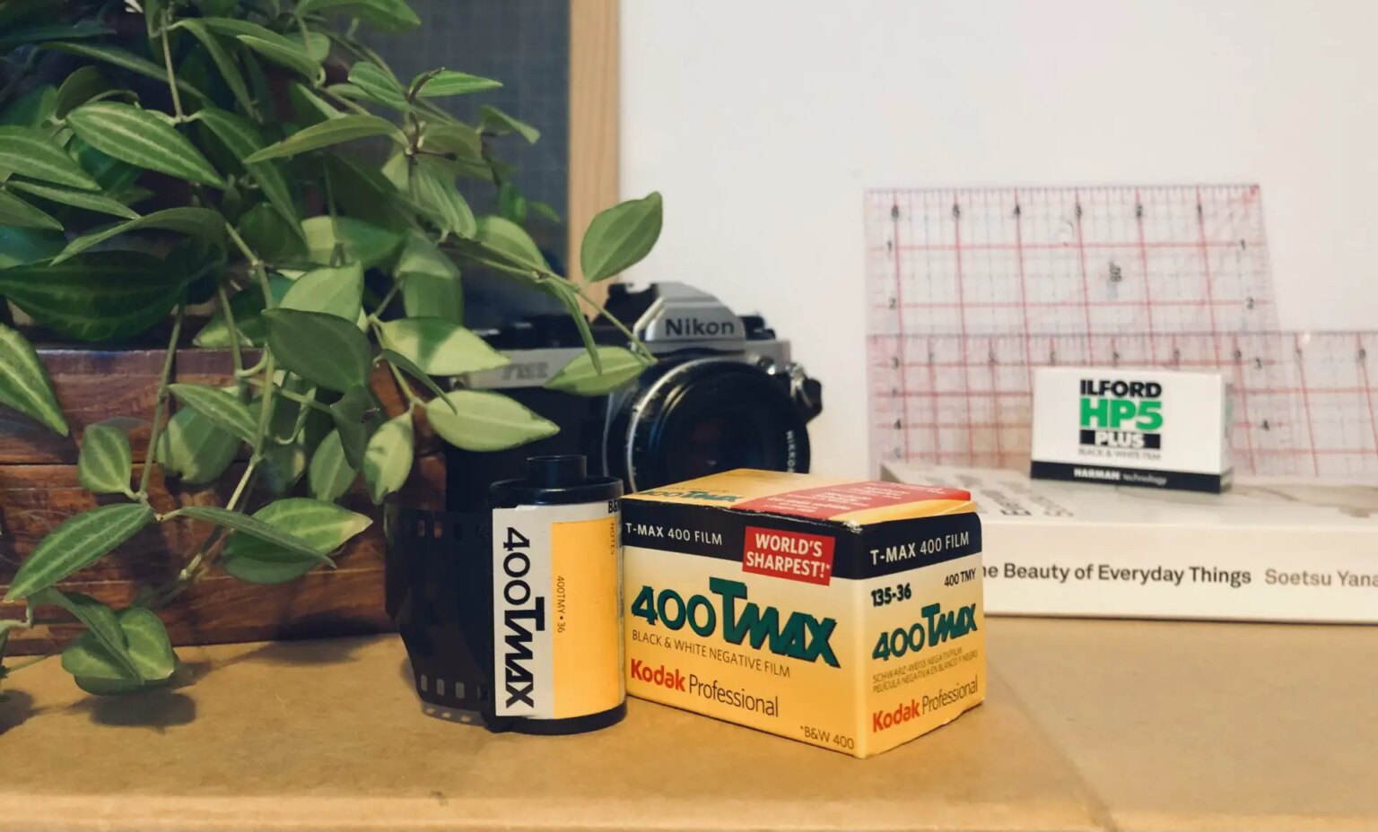 Kodak T-Max 400 - Is it my cup of T-grain? - Quick Film Review - By Ted Ayre - 35mmc