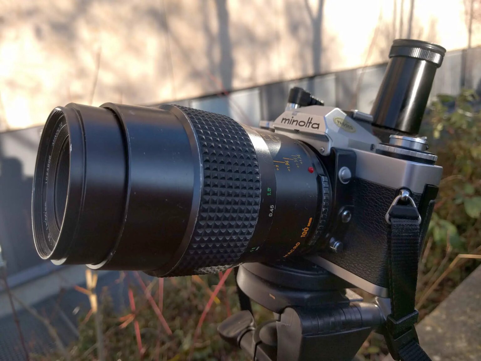 5 Macro Frames on Film with the Minolta MC Macro Rokkor 3.5/100mm - By ...