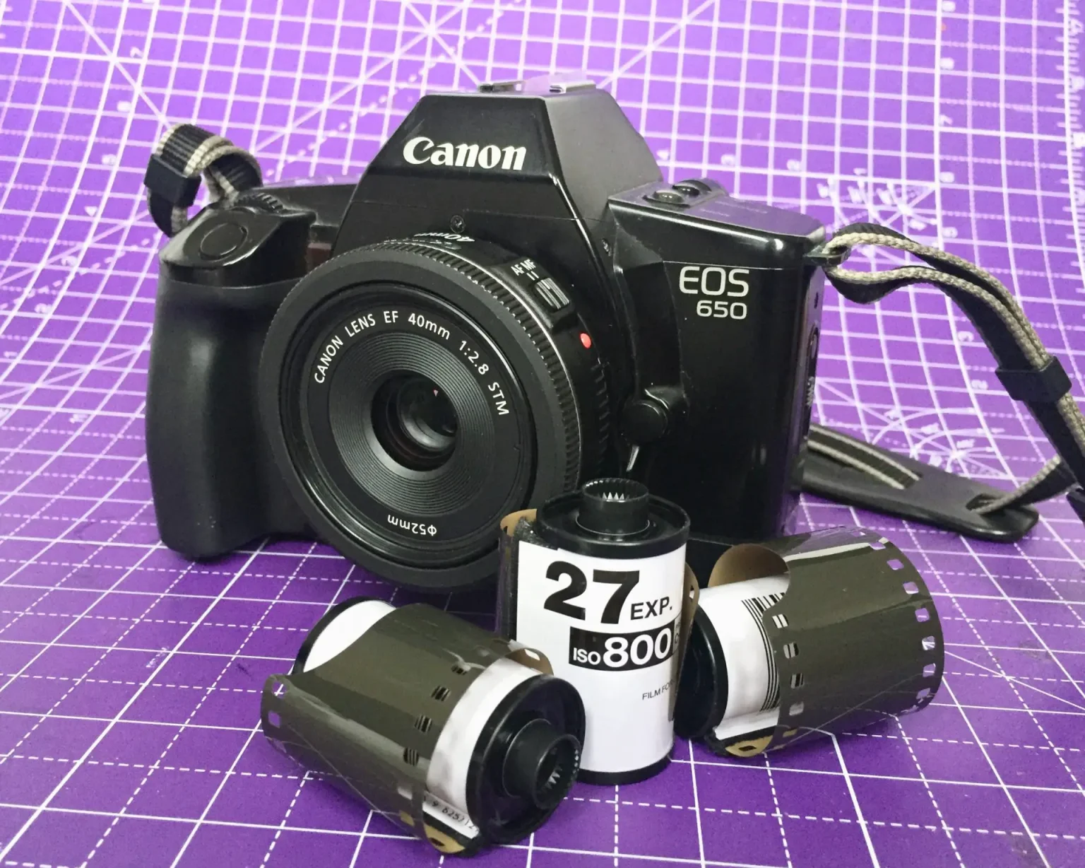 5 frames with Fuji 800 Disposable Camera Film and a Canon EOS 650 - By ...