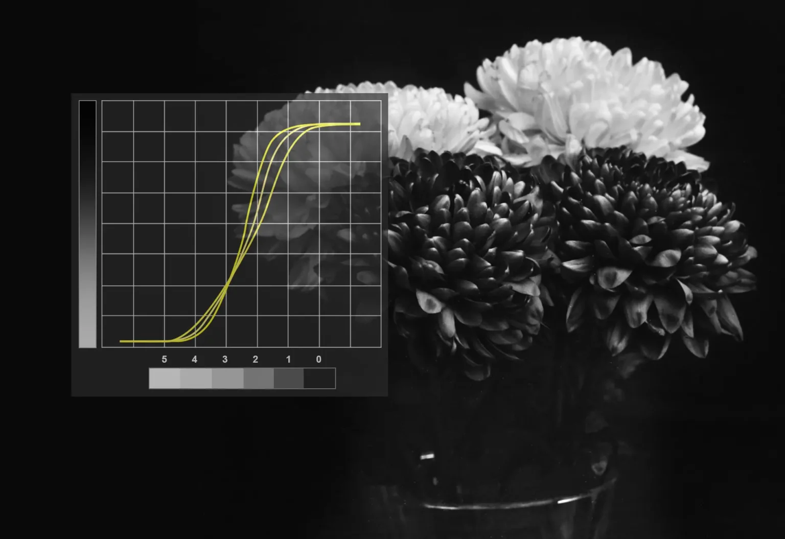 Contrast and Tonality Part 3: Characteristic Curves for Film and Paper ...