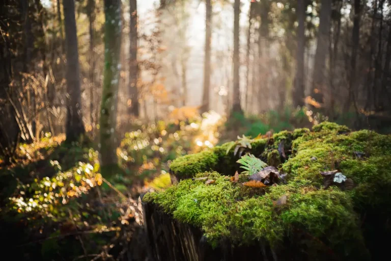 5 frames with the MS-Optics 24mm 2.0 Aporia on a Leica M10 - 35mmc