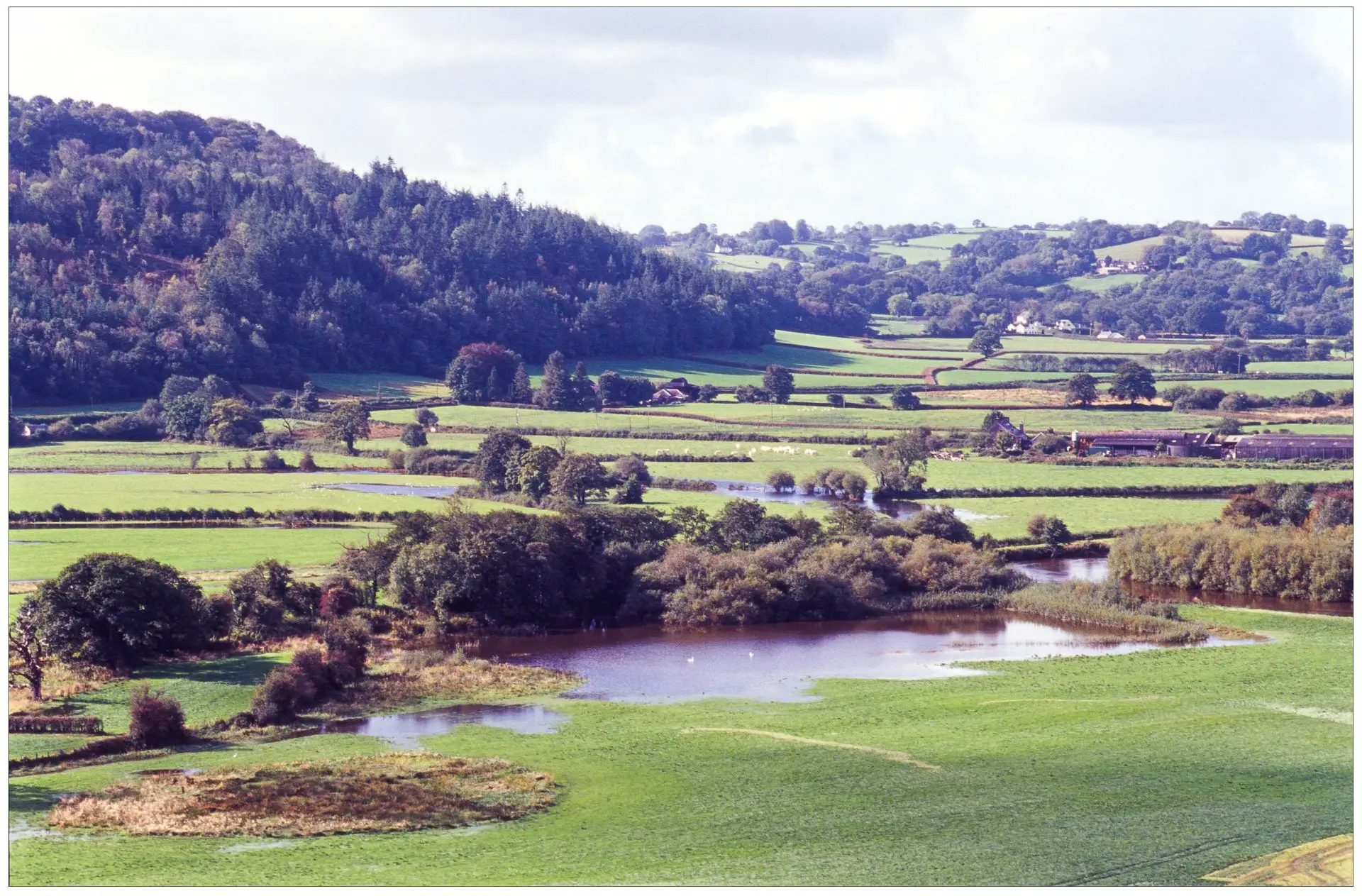 Minolta Maxxum 7 - The Best for when you really have got to get that ...