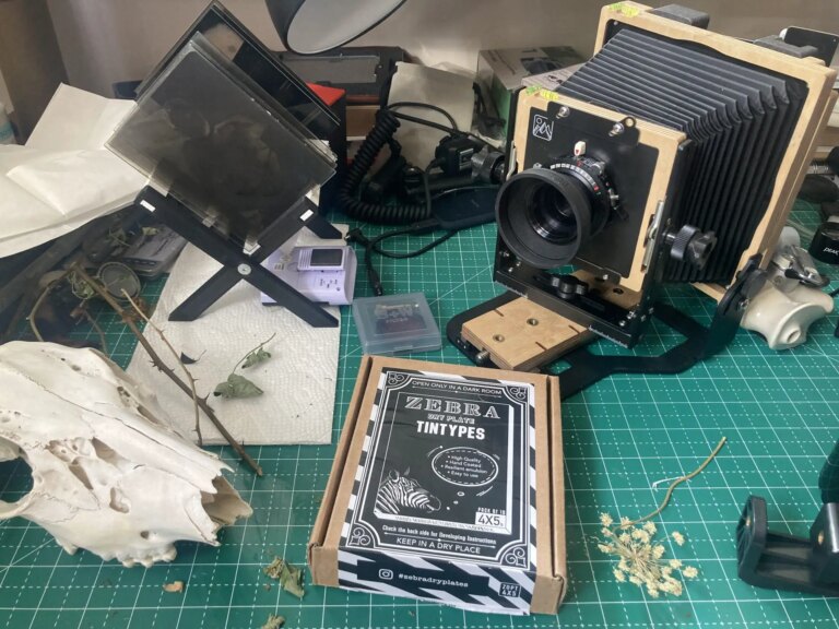5 frames with Zebra Dry Plate Tin Types - 35mmc