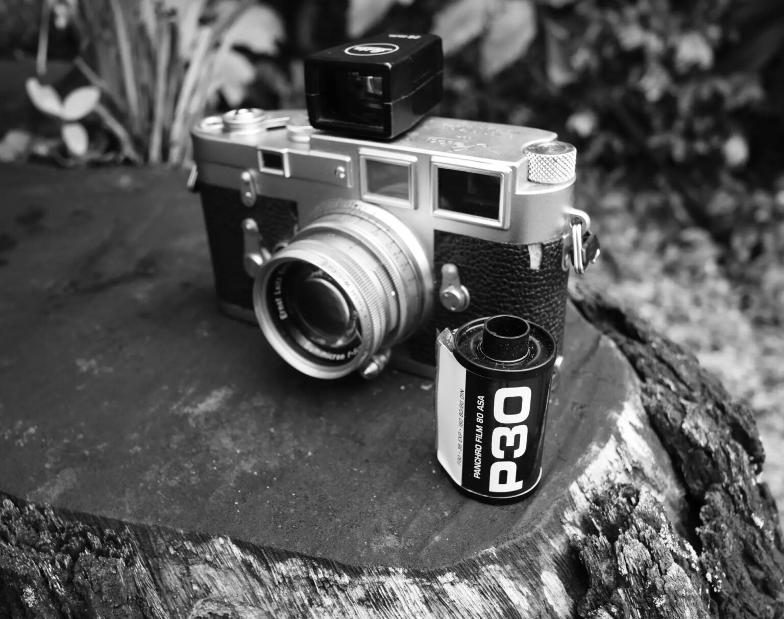 Film Ferrania P30 in Finland with a Leica M3 - 35mmc