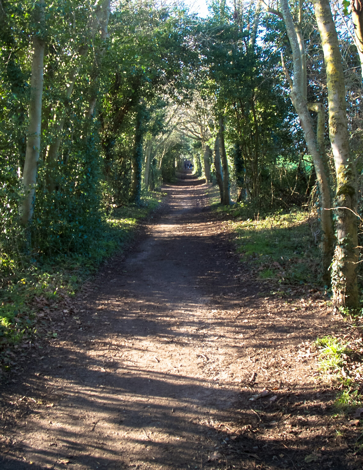 Konica Minolta Dimage X1 - It'll put you off Photography for life - 35mmc