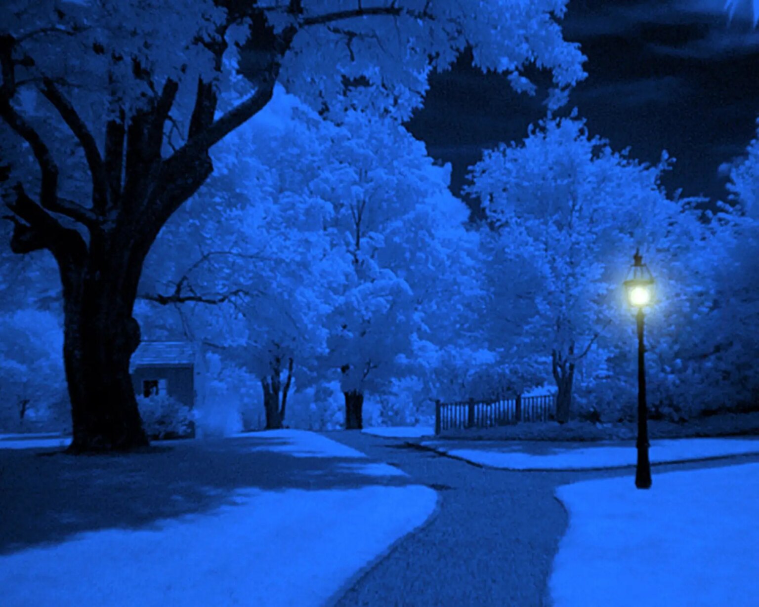 Polaroid’s PDC-700 - A little old digicam with a big secret (Shot for ...