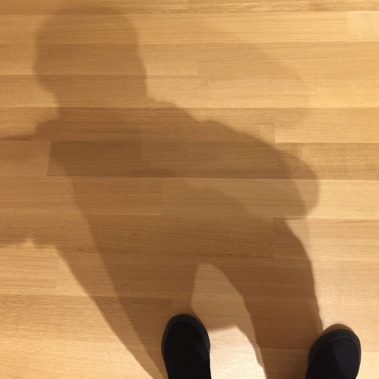 There's a Shadow in My Shoes! - A One-Shot Story - 35mmc