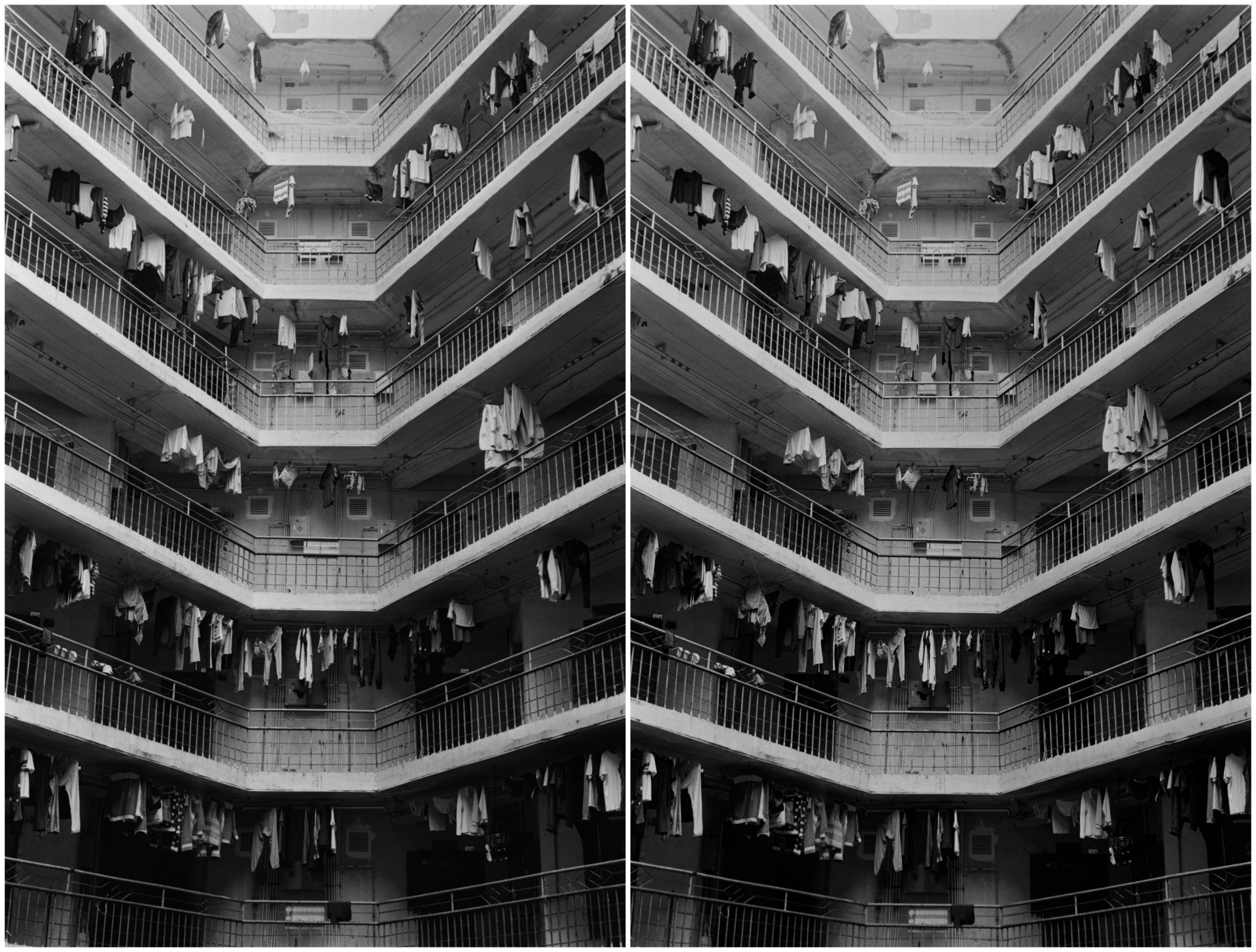 7Artisans 60mm 2.8 Macro Lenses – A Comparison of Two Lenses for Film ...