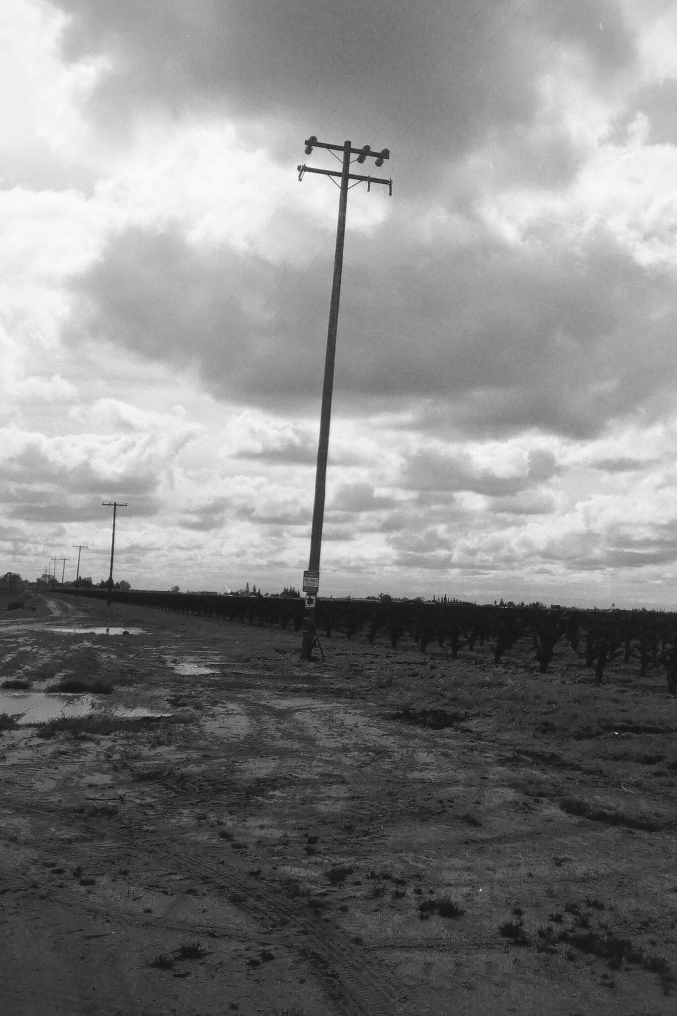 Olympus Promaster Infinity TWIN Review - It's got the POWER! - 35mmc