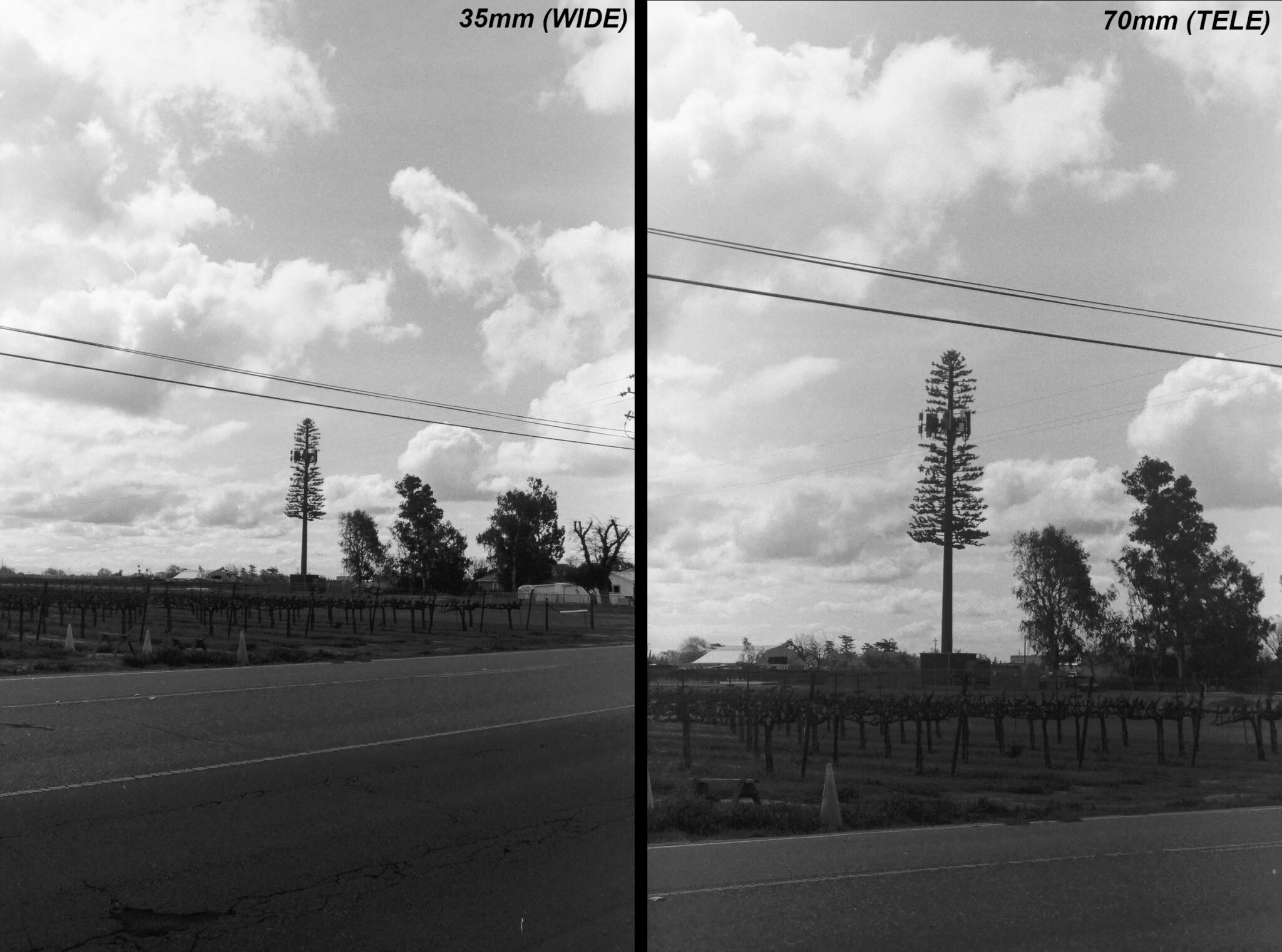 Olympus Promaster Infinity TWIN Review - It's got the POWER! - 35mmc