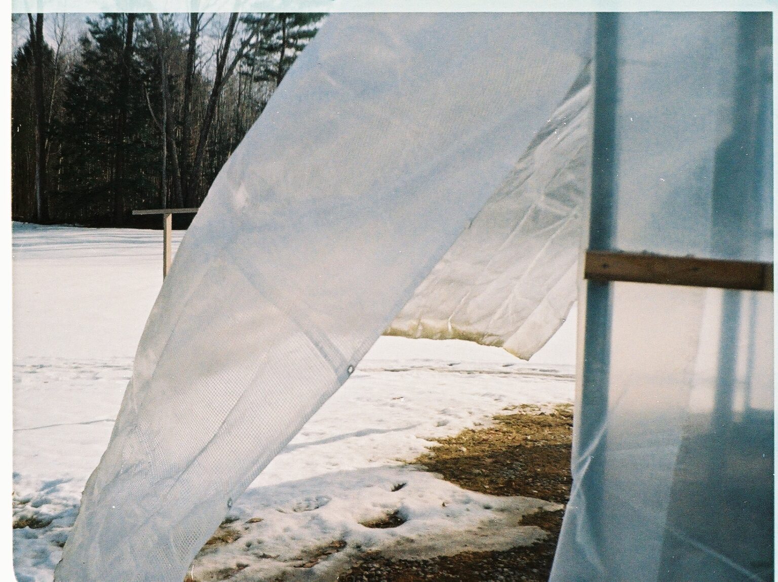 Lomomatic 110 Review: Lomography's New Tiny Format Treat