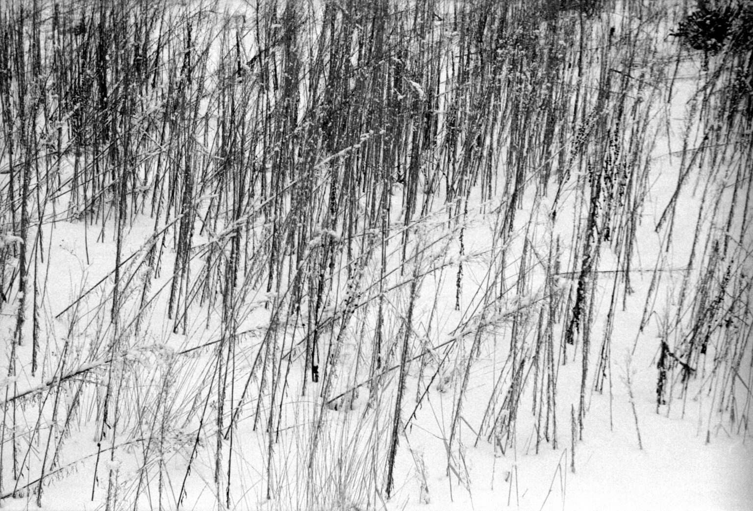 Philosophy & Reflections Archives - 35mmc