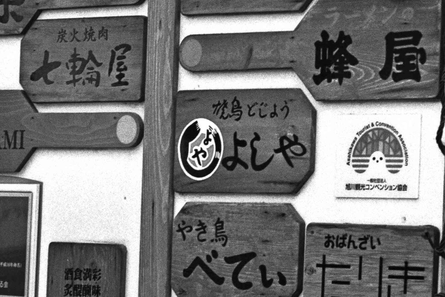 Rollei RPX 25 at 100 ASA stand developed in Rodinal 100:1 - 35mmc