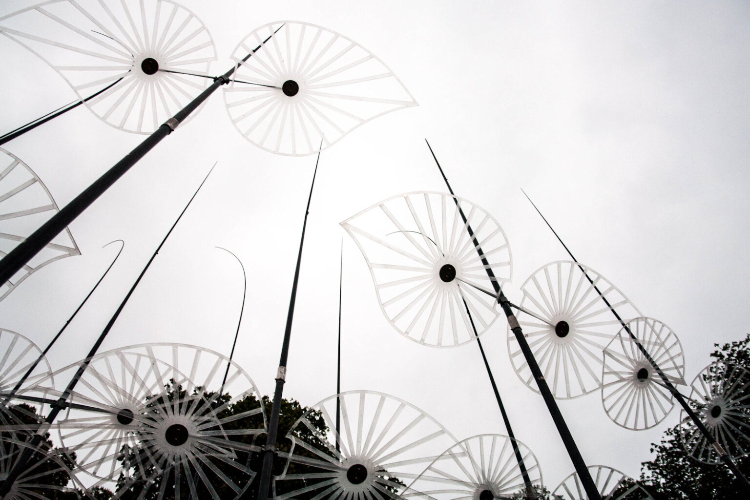 Sony R1 - the Original from 2005 revisited - Sony and APS-C pt1