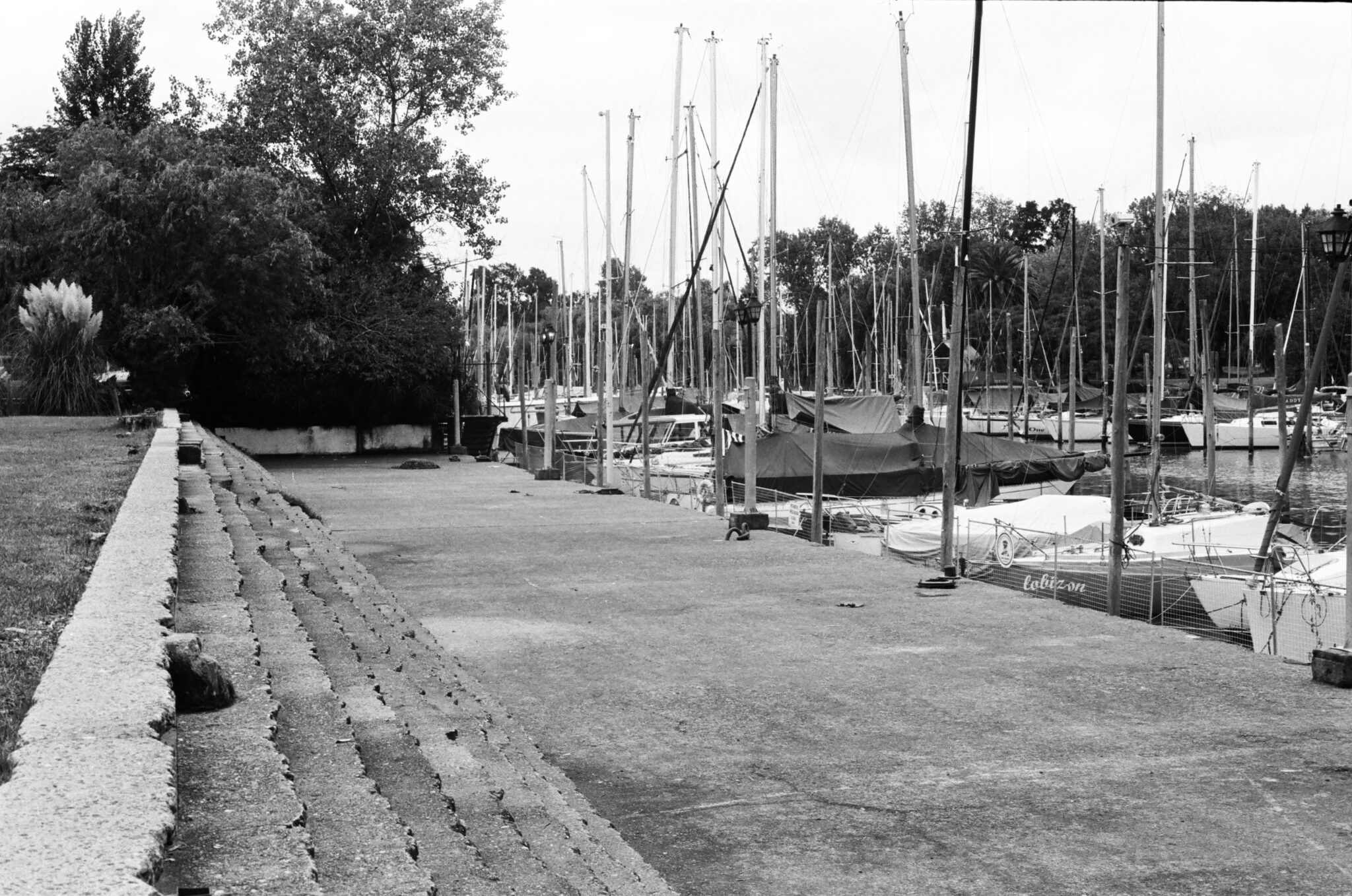 Voigtlander Vito CLR - Early Experiences with little Stips - 35mmc