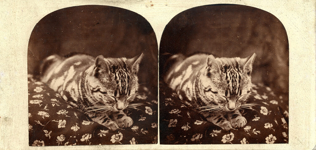 How to Take a 3-D Photo with Almost Any Camera - 35mmc