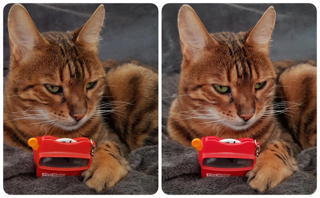 How to Take a 3-D Photo with Almost Any Camera - 35mmc