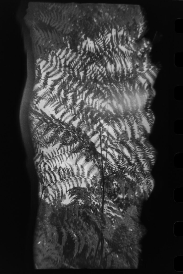 5 Frames With A Le Clic Fun Shooter Panoramic Conversion - 35mmc