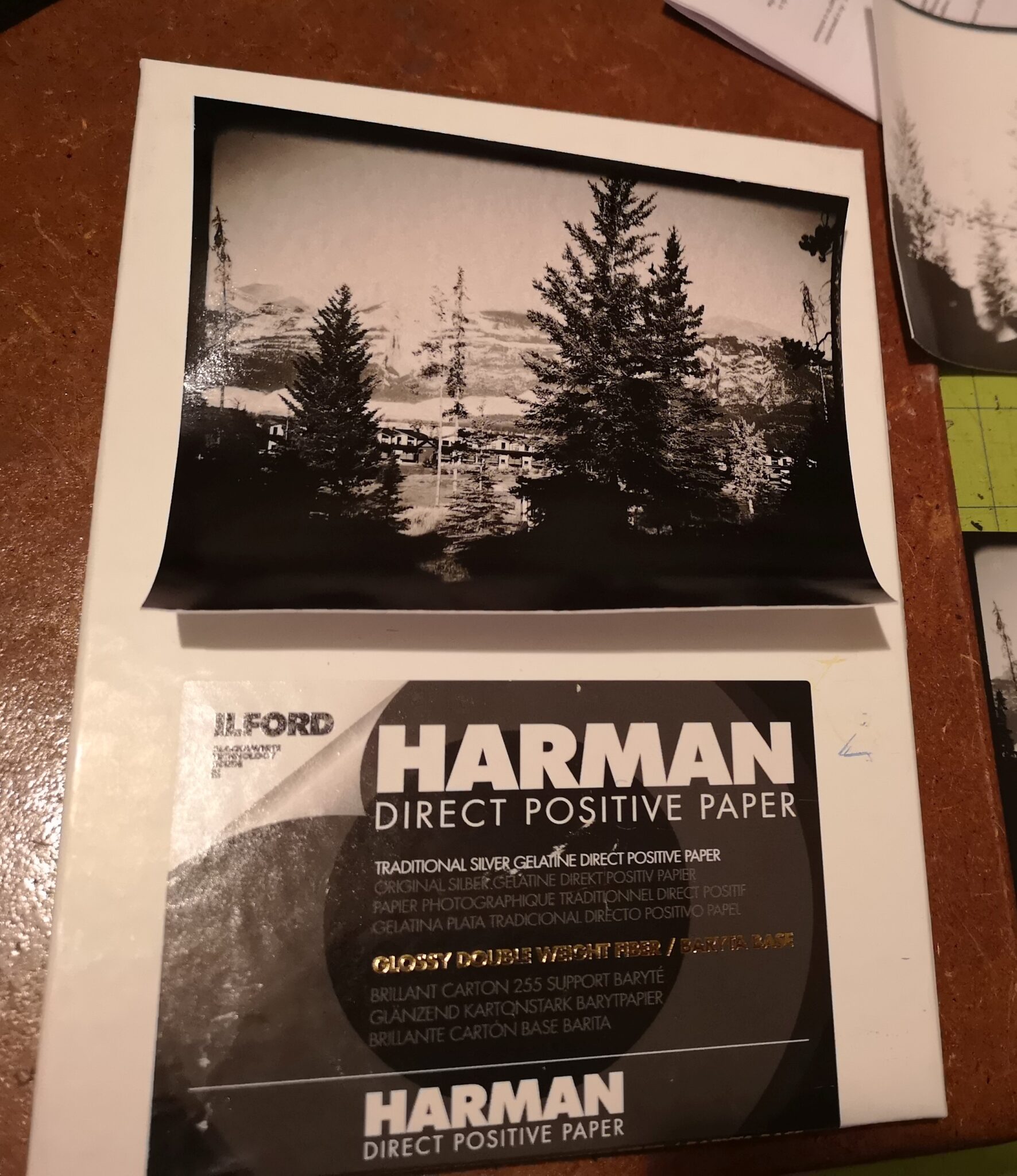 Shooting Sheet film in a Polaroid Pack Camera - 35mmc