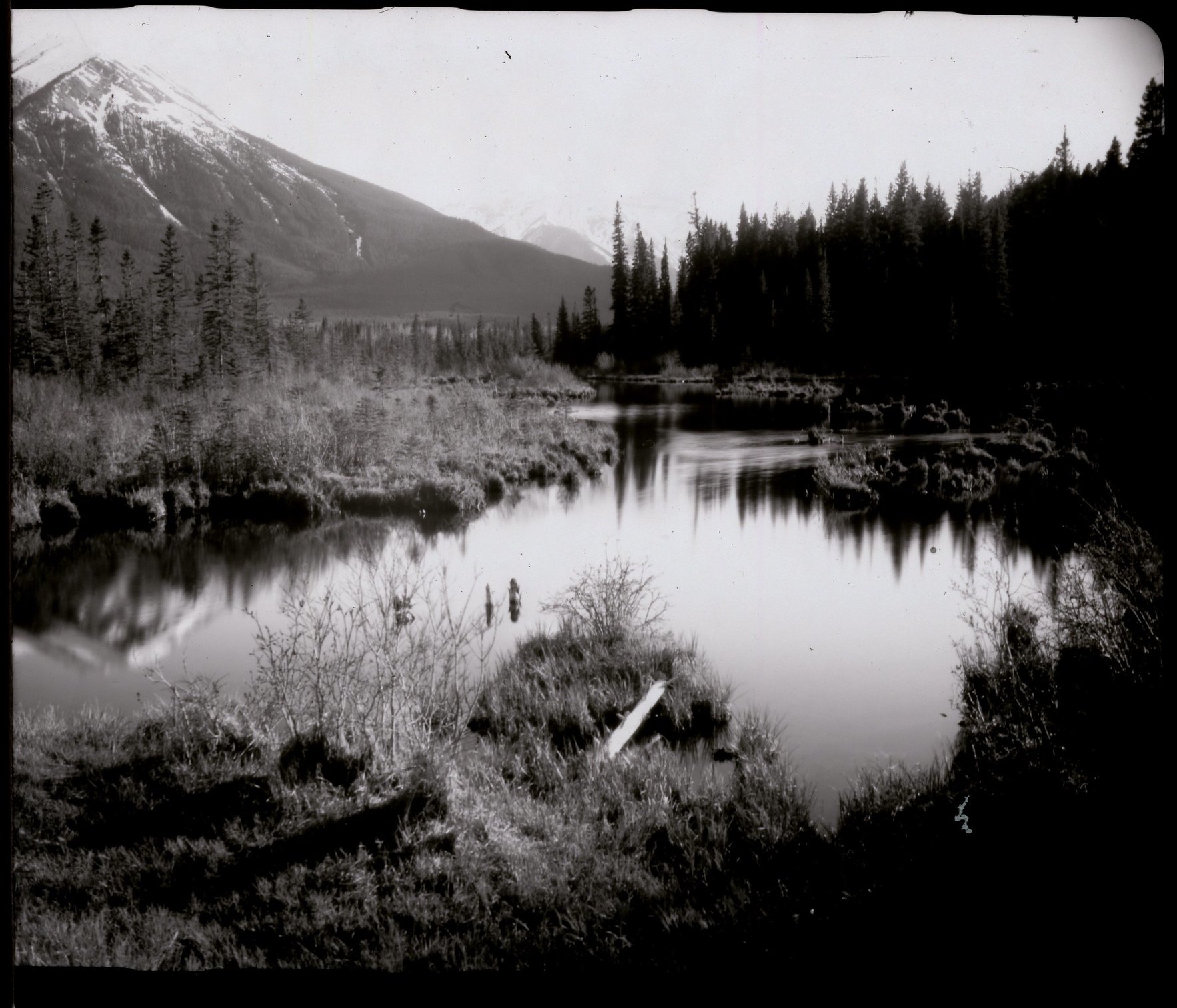 Shooting Sheet film in a Polaroid Pack Camera - 35mmc