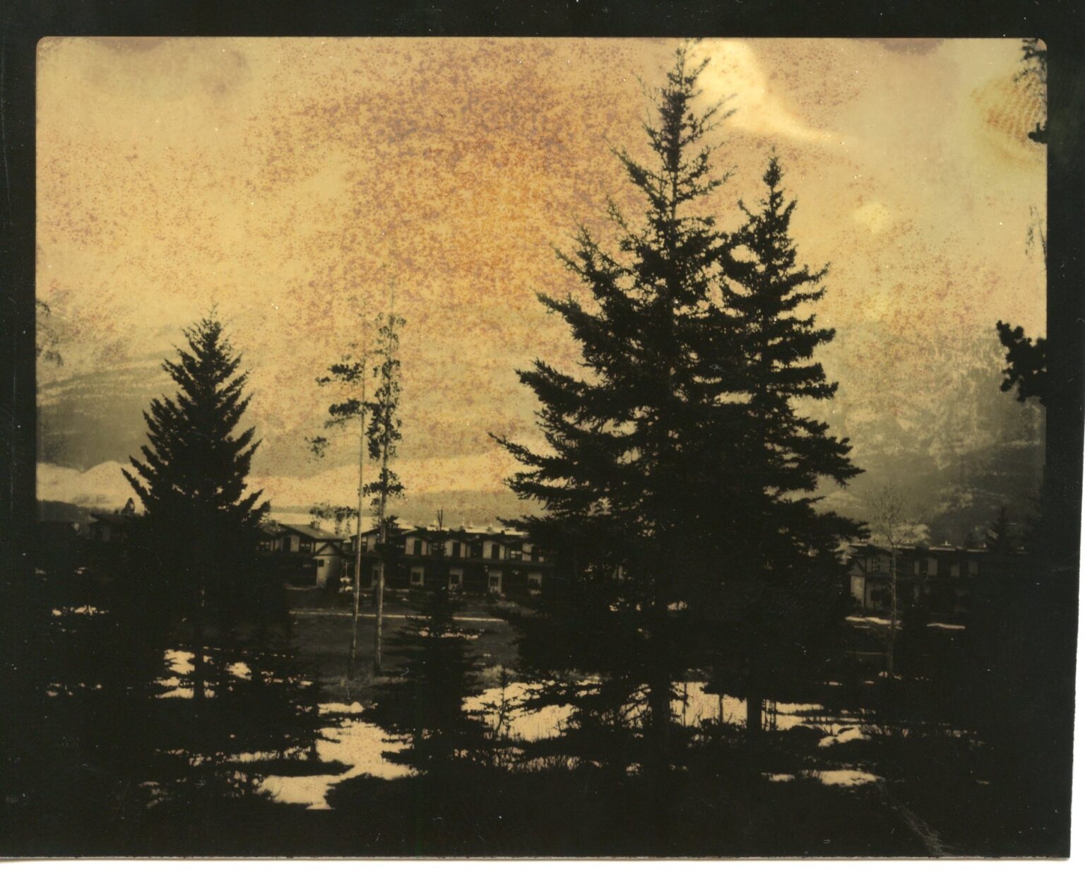 Shooting Sheet film in a Polaroid Pack Camera - 35mmc