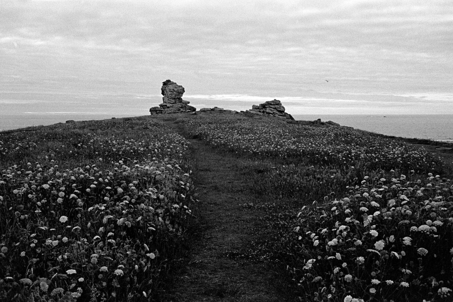 Light Lens Lab Eight Element 35mm f/2 review - 35mmc