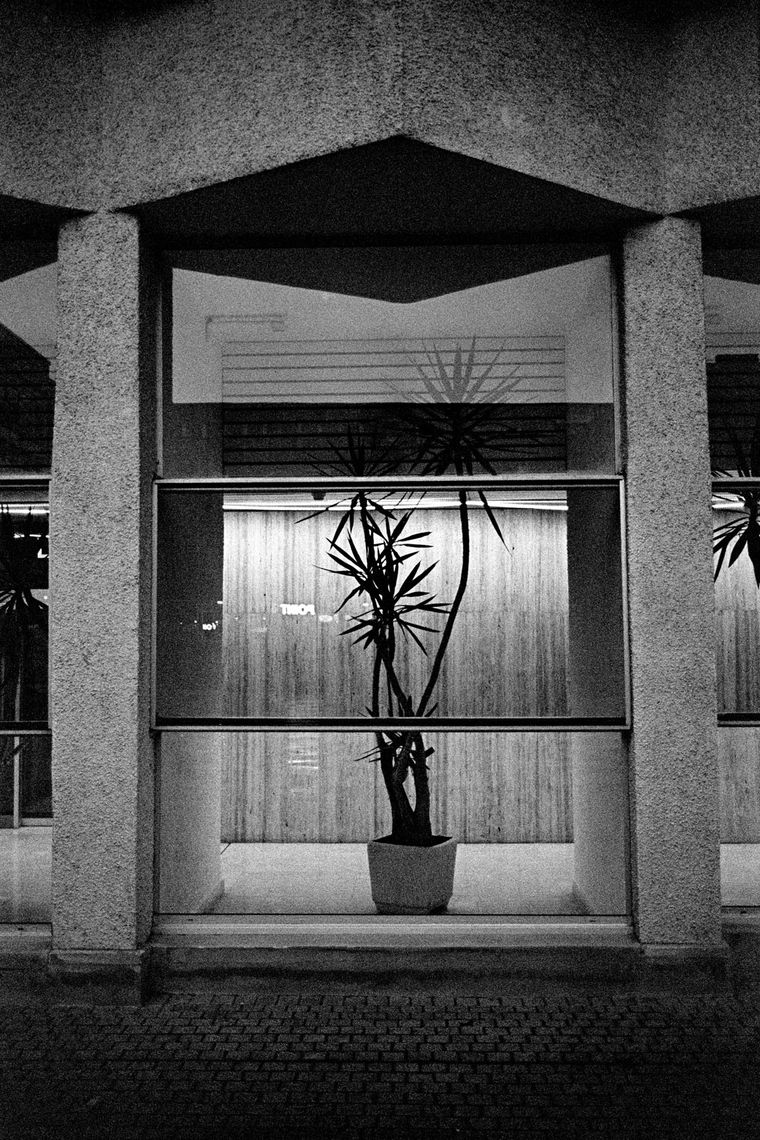 Light Lens Lab Eight Element 35mm f/2 review - 35mmc