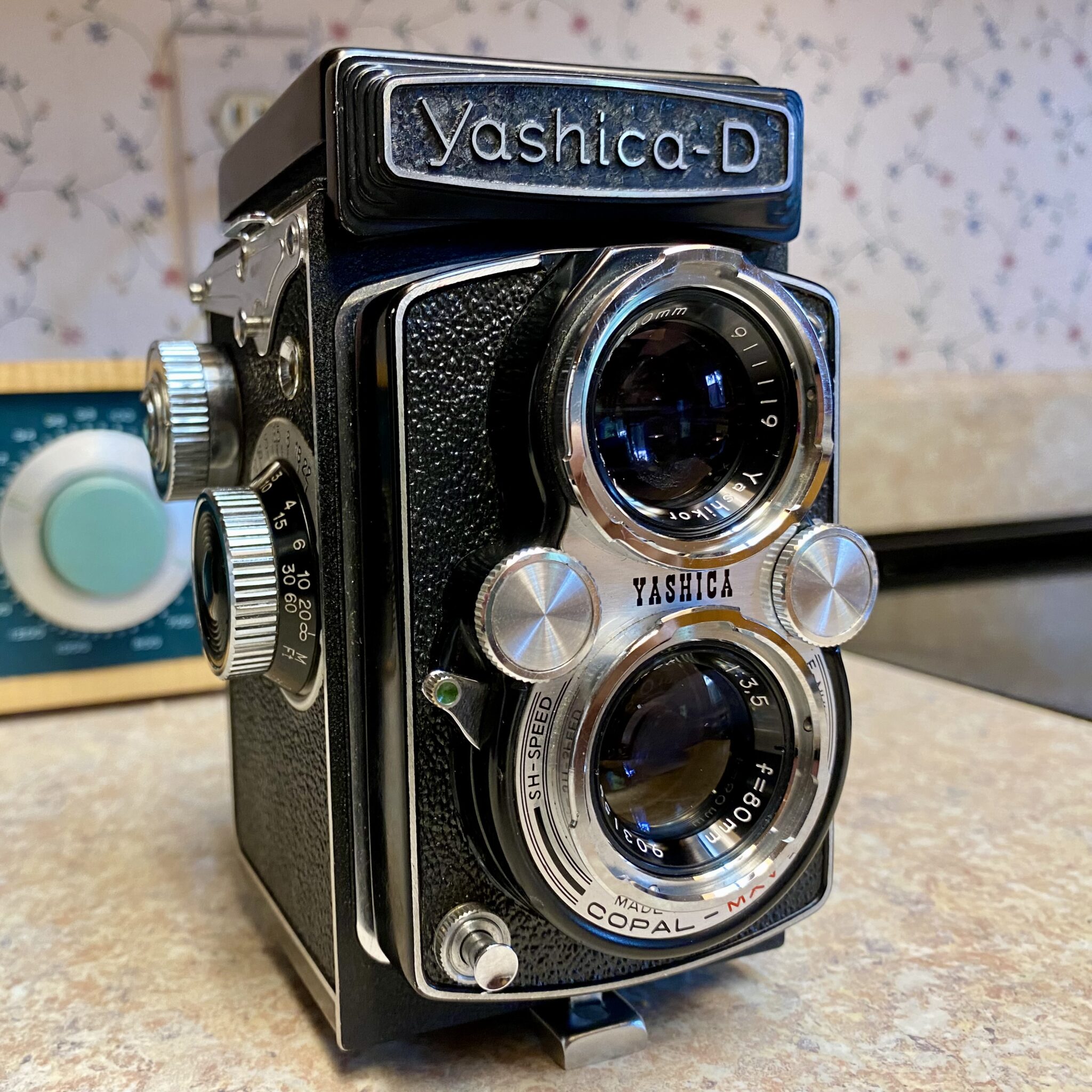 Yashica D - Diving into Medium Format - 35mmc