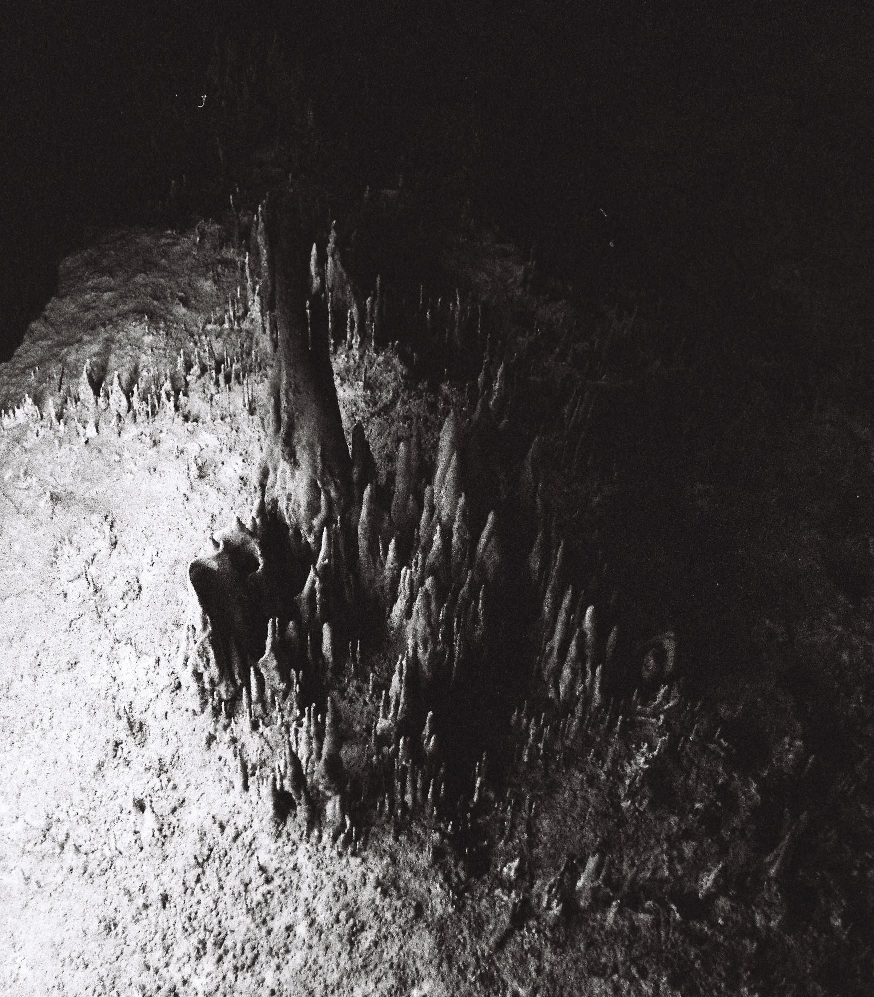 Konica IIIM - Caves, Fog, and Review - 35mmc