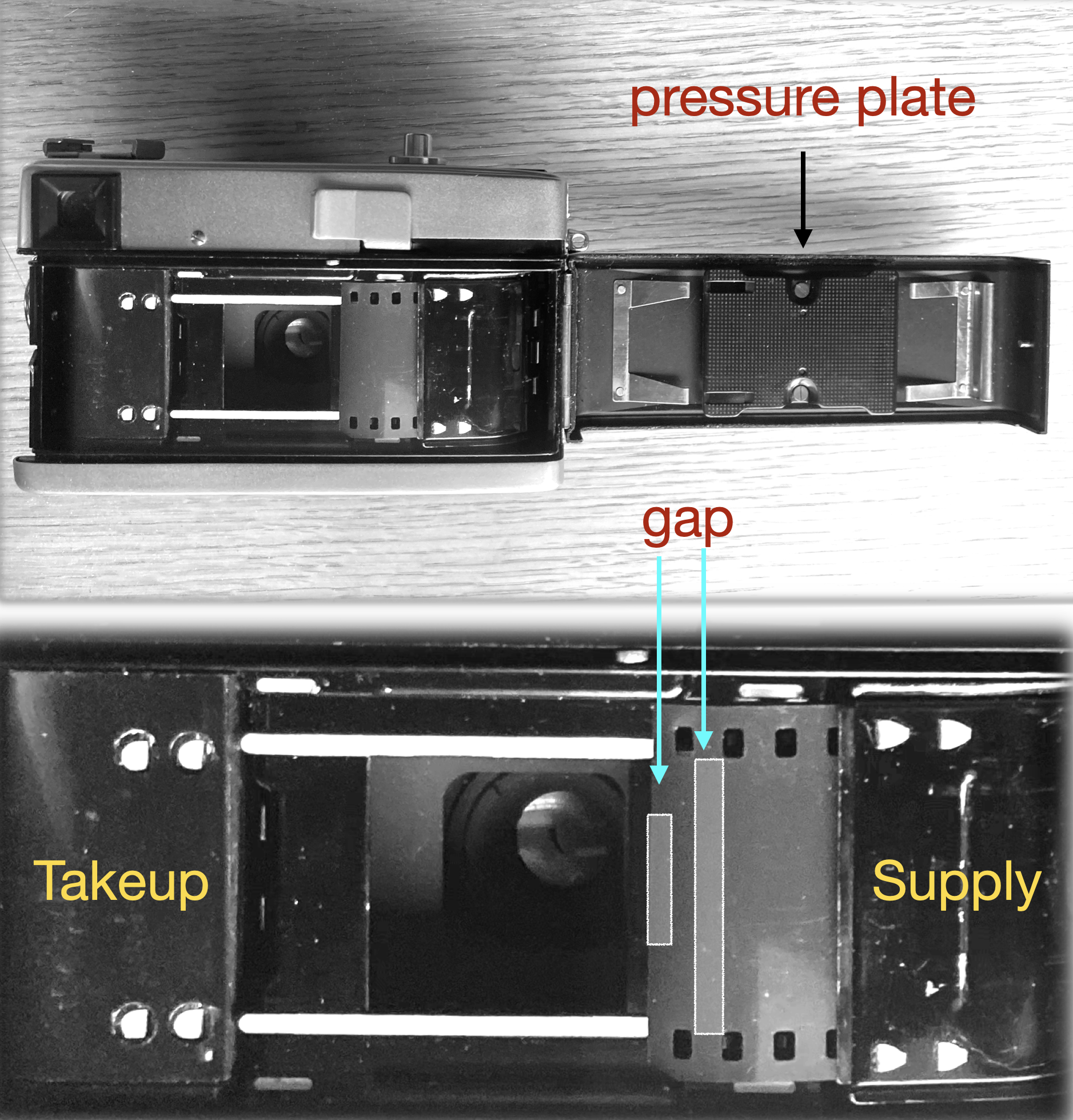 5 Frames Going Square with 35mm Film in a Minolta 24 Rapid - 35mmc