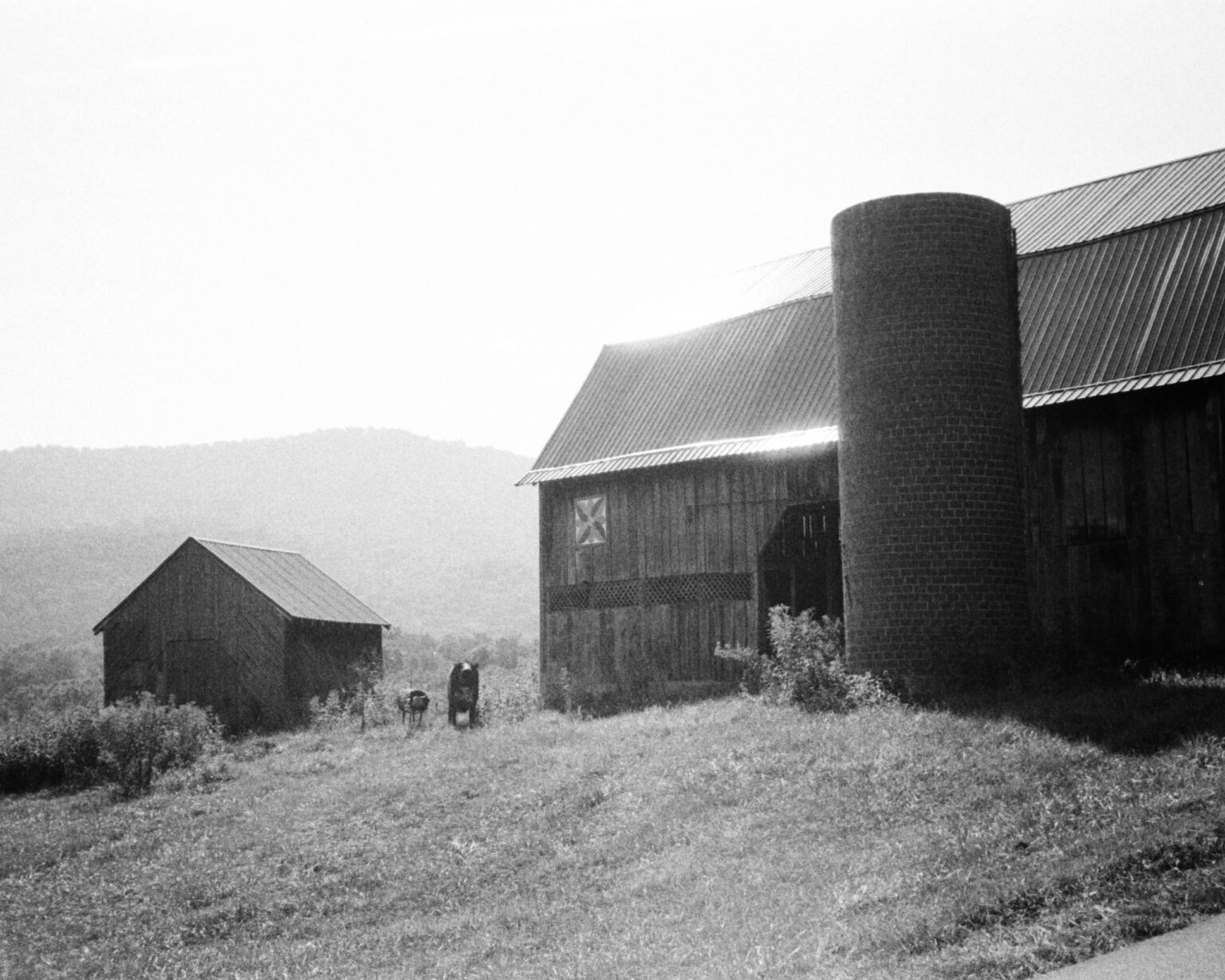 Rollei XF 35 - First Impressions - 35mmc