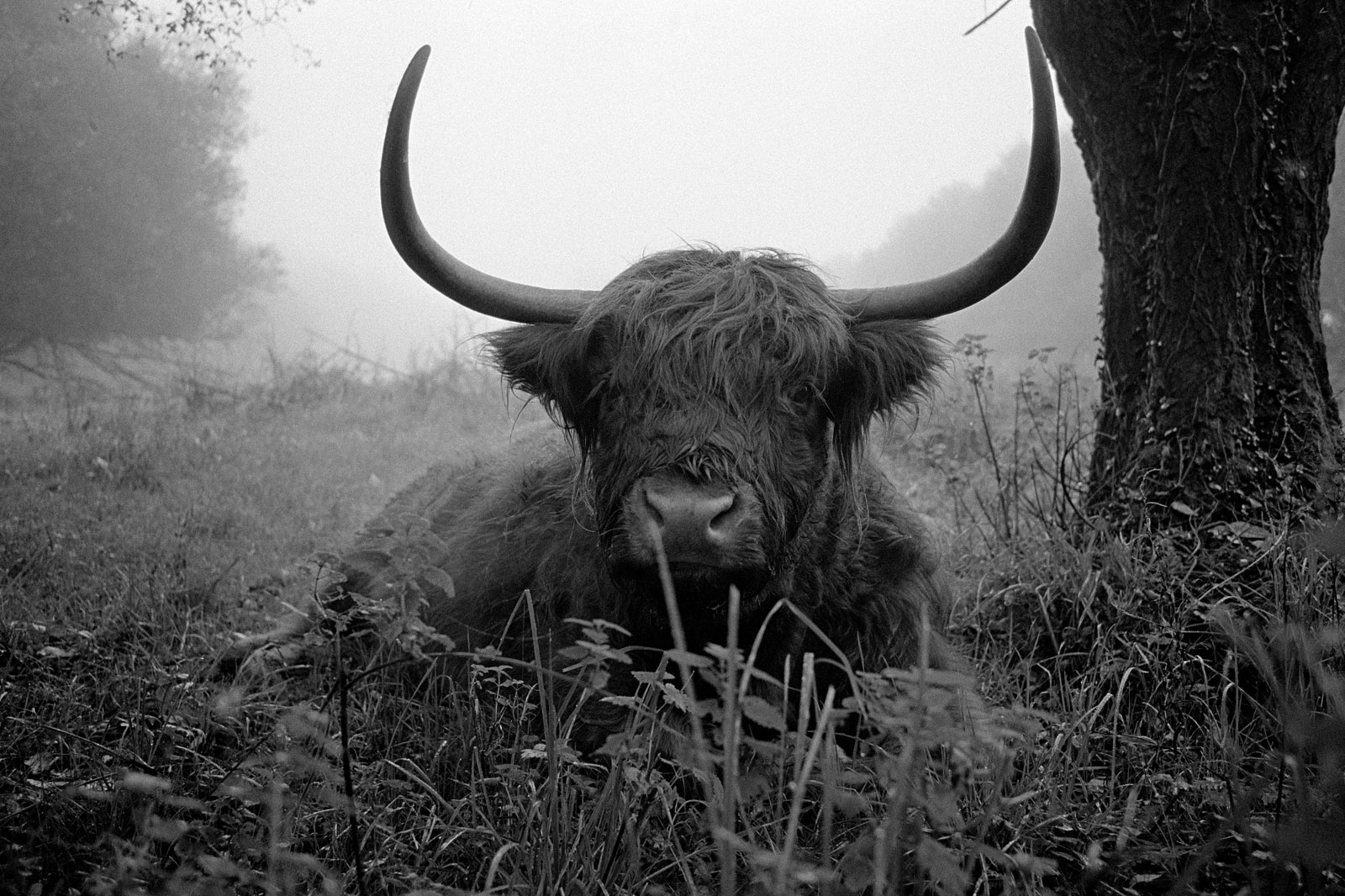 Light Lens Lab Nine Element 28mm f/2.8 review - 35mmc