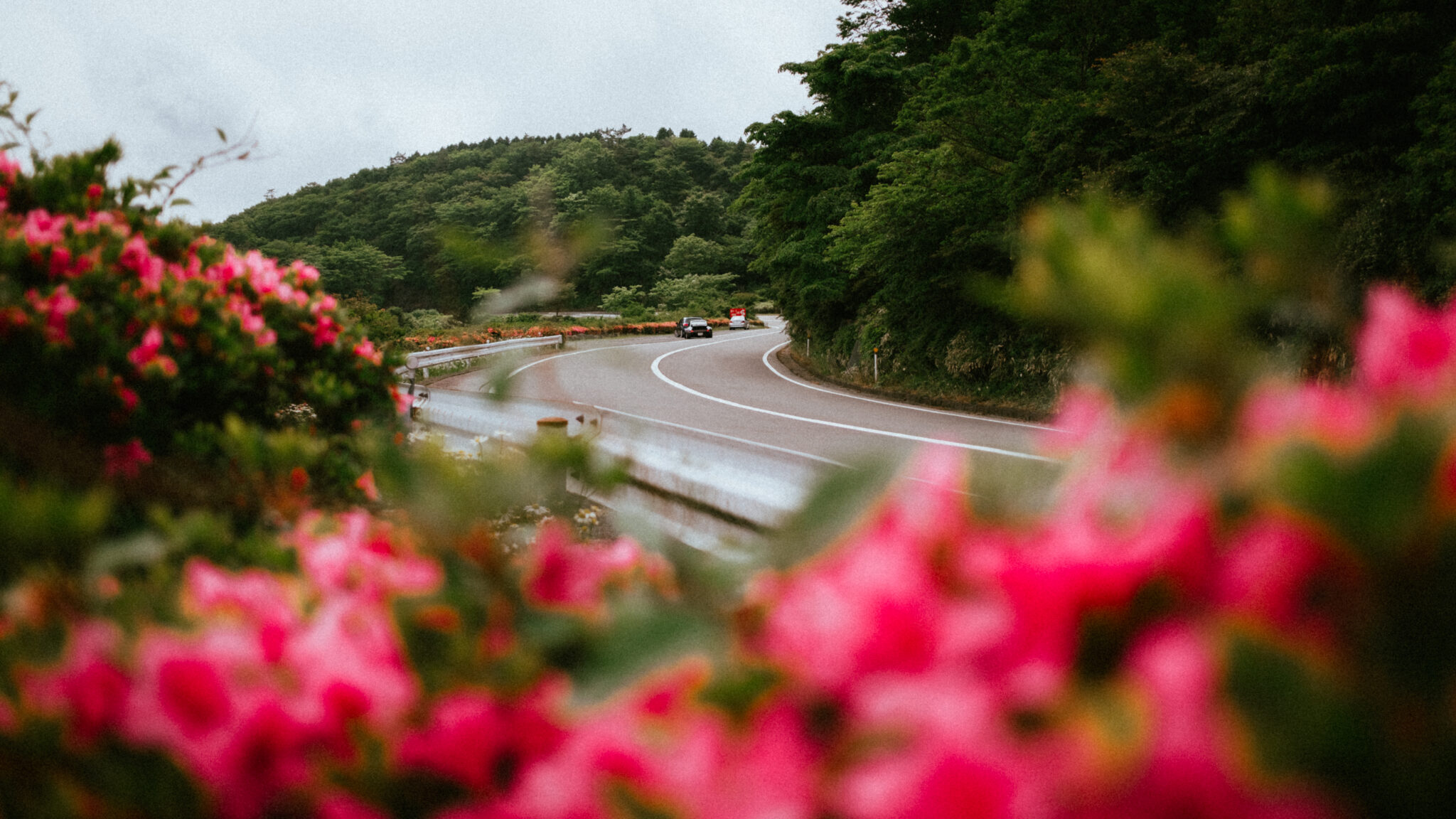 Returning to the Hakone Turnpike - 35mmc