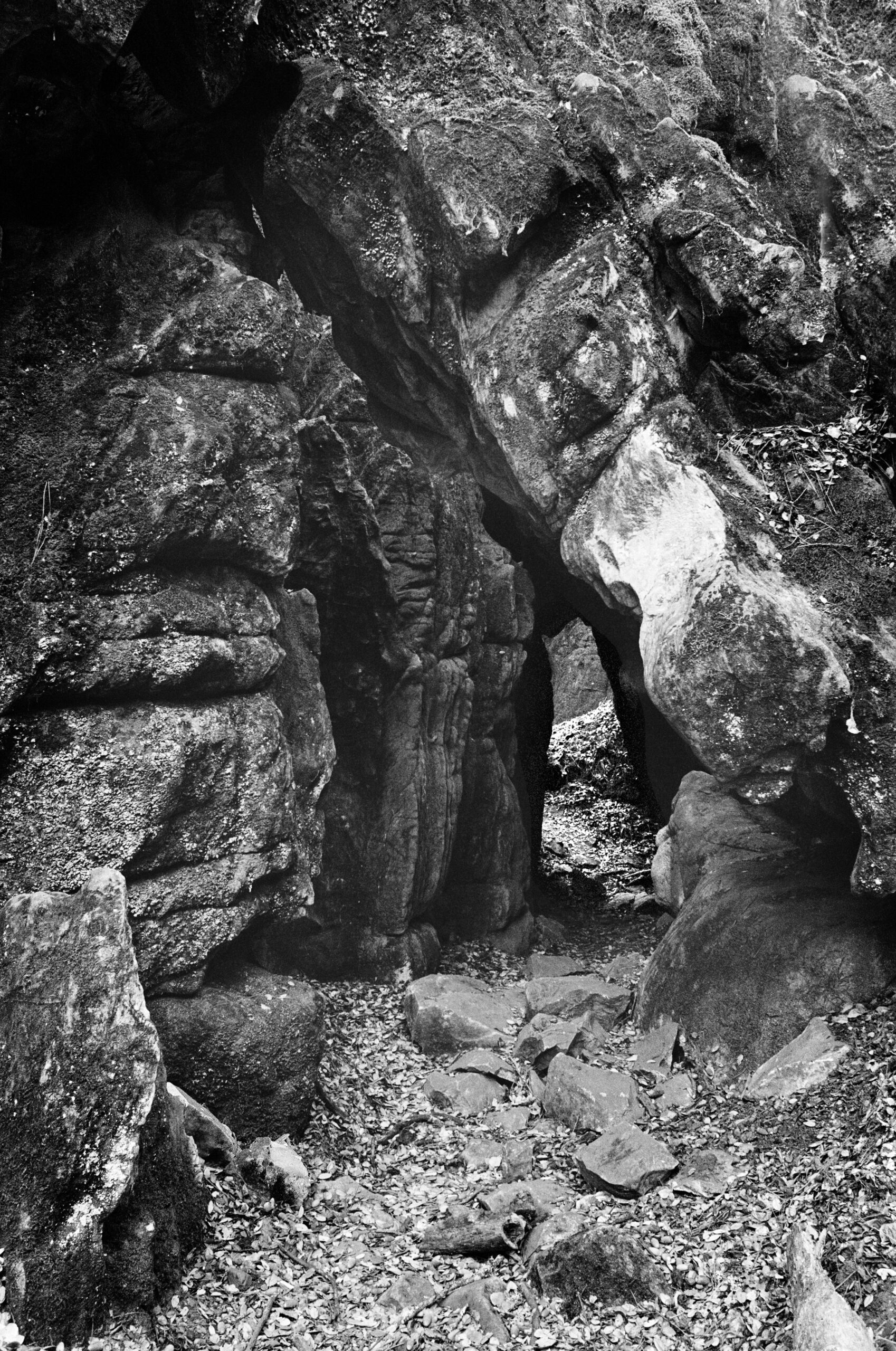 5 frames with Ilford XP2 film - 35mmc