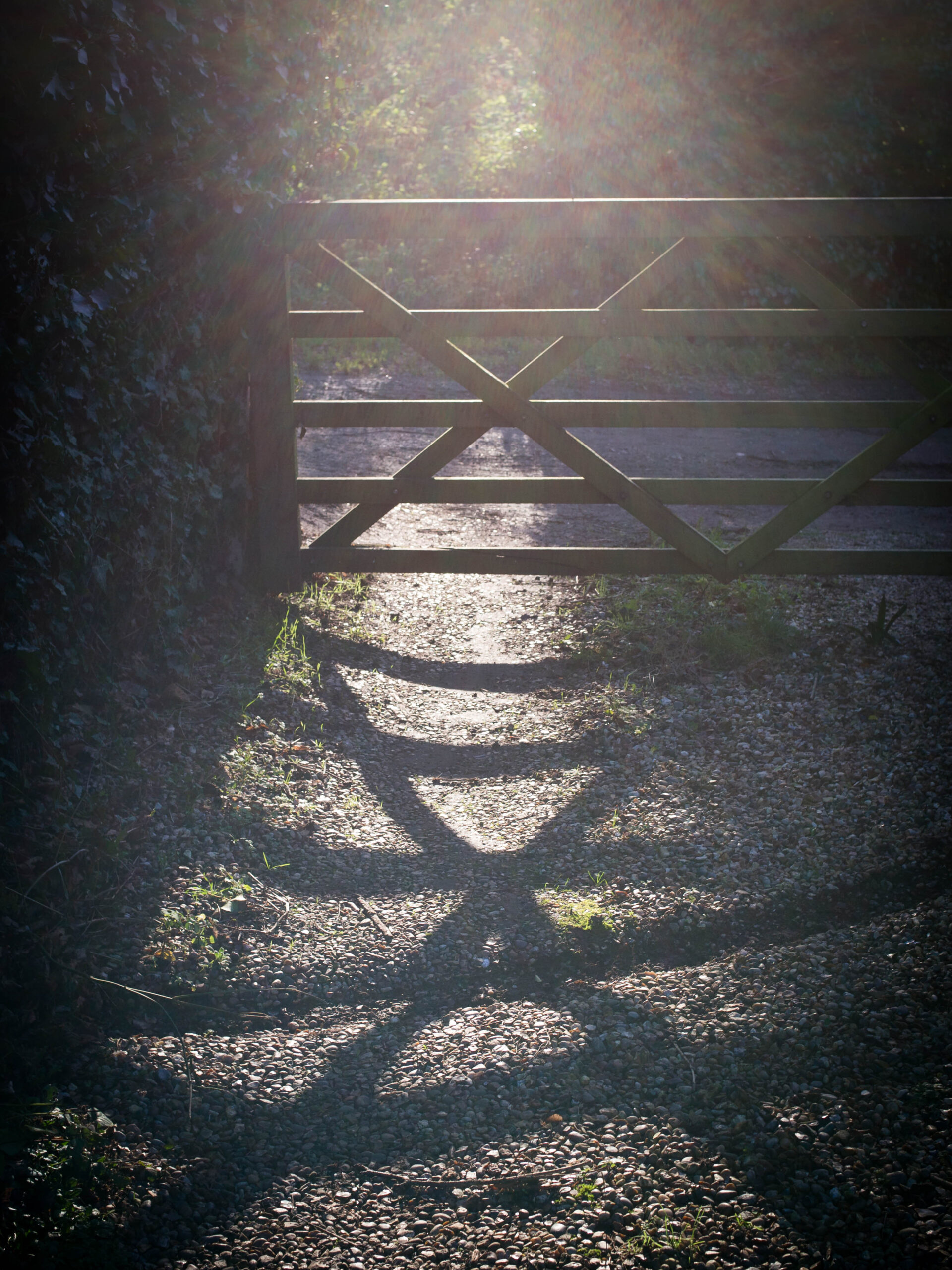 Pergear 25mm 1.7 lens in MFT mount Review - A fantastic little jewel of ...