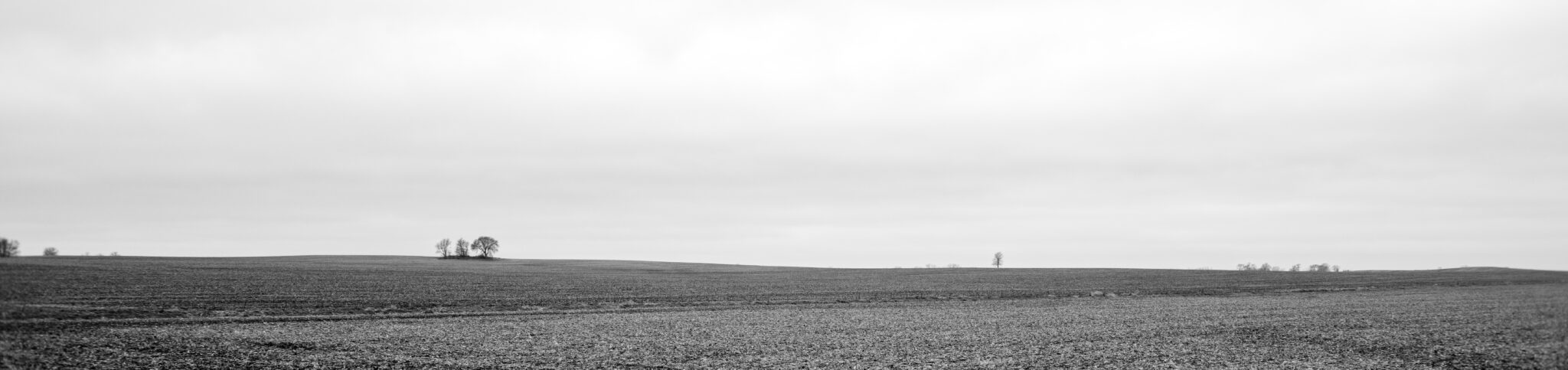 Brightin Star 28mm f/2.8 XSlim Pro-M Review on a Leica M11 - 35mmc