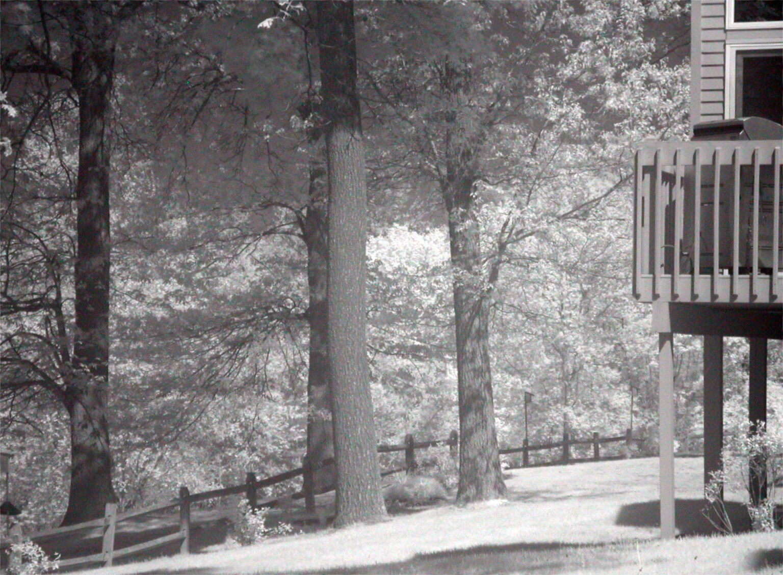 A Fun, Funky Filter for Shooting Digital Infrared - 35mmc