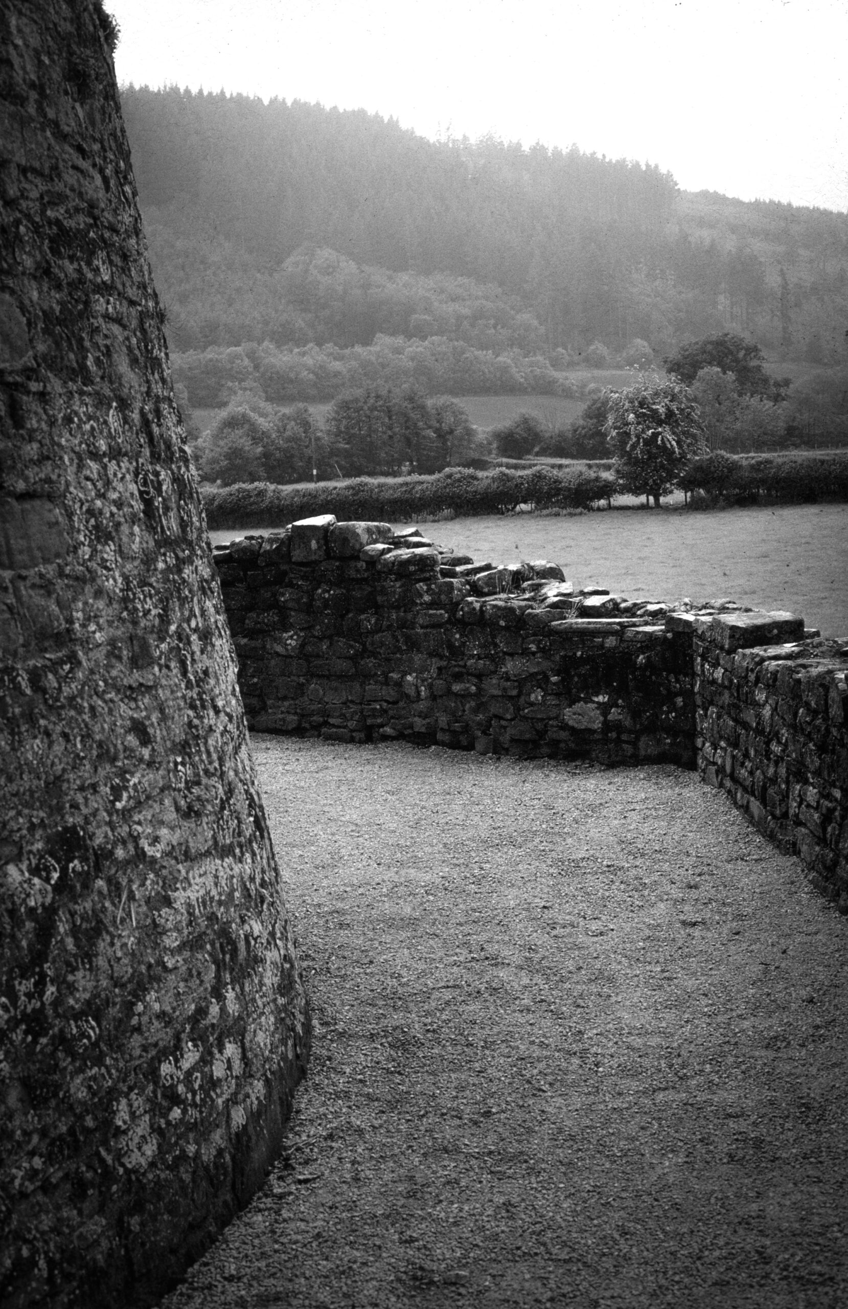 Agfa Scala 200X - Bittersweet Memories made with my last and only roll ...