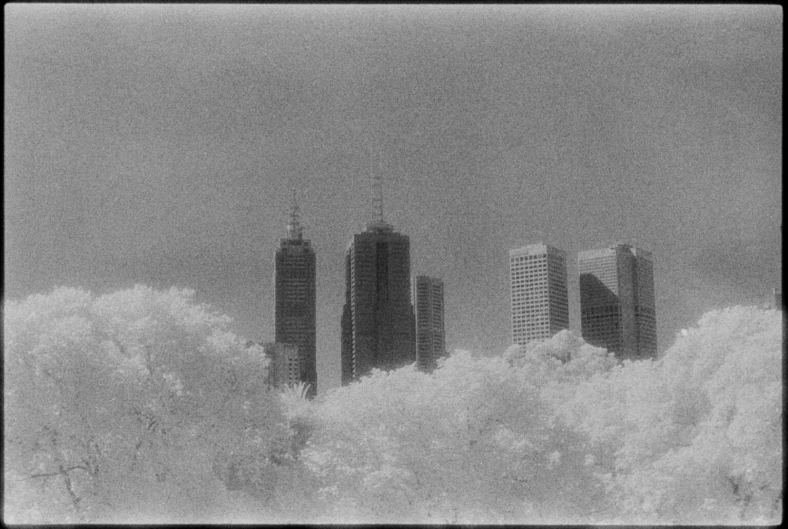 5 frames Looking back at Kodak High Speed Infrared (HIE) through a ...