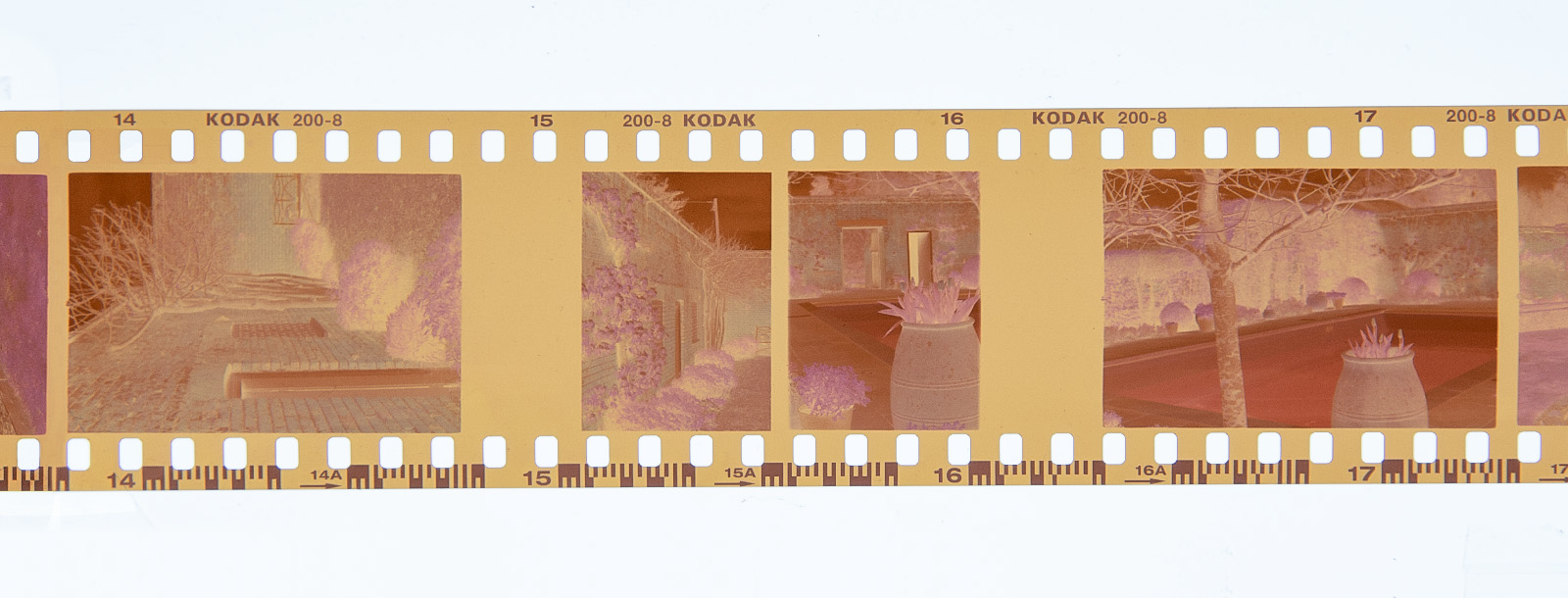 Konica Autorex - Shooting full and half frames on the same roll of film ...