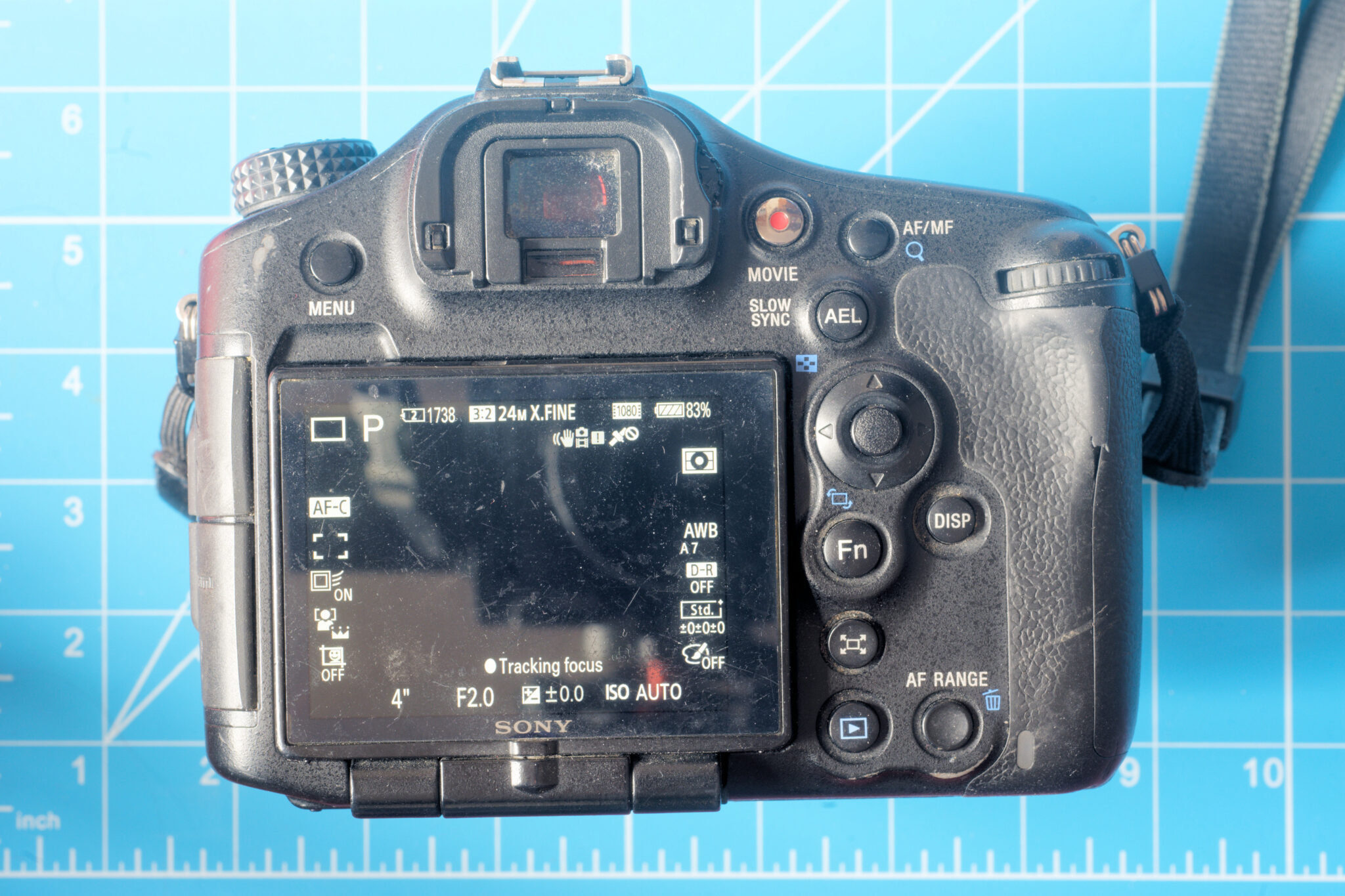 Sony A99 - a review of the the first mirrorless full-frame EVF camera ...