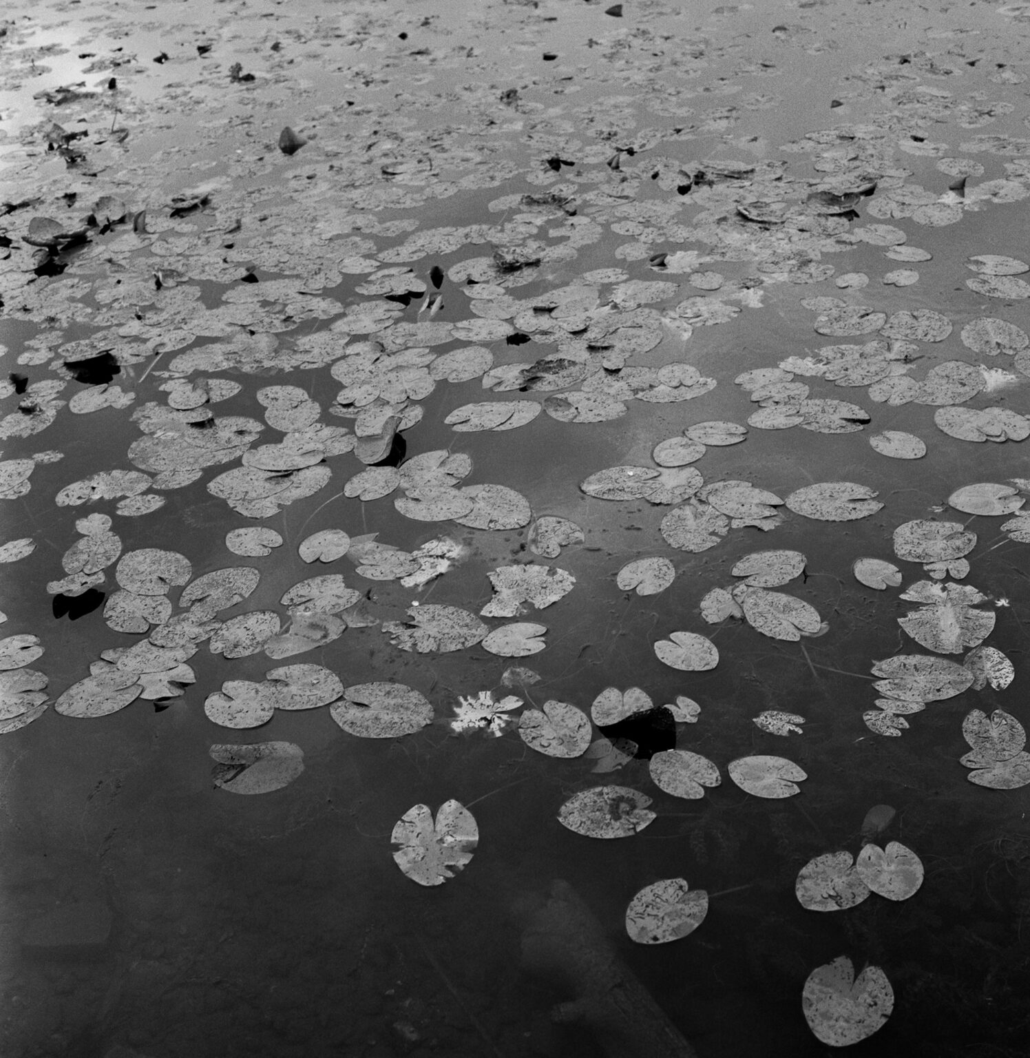 Exploring the Dreamlands of Sony World Photography Award Winner ...