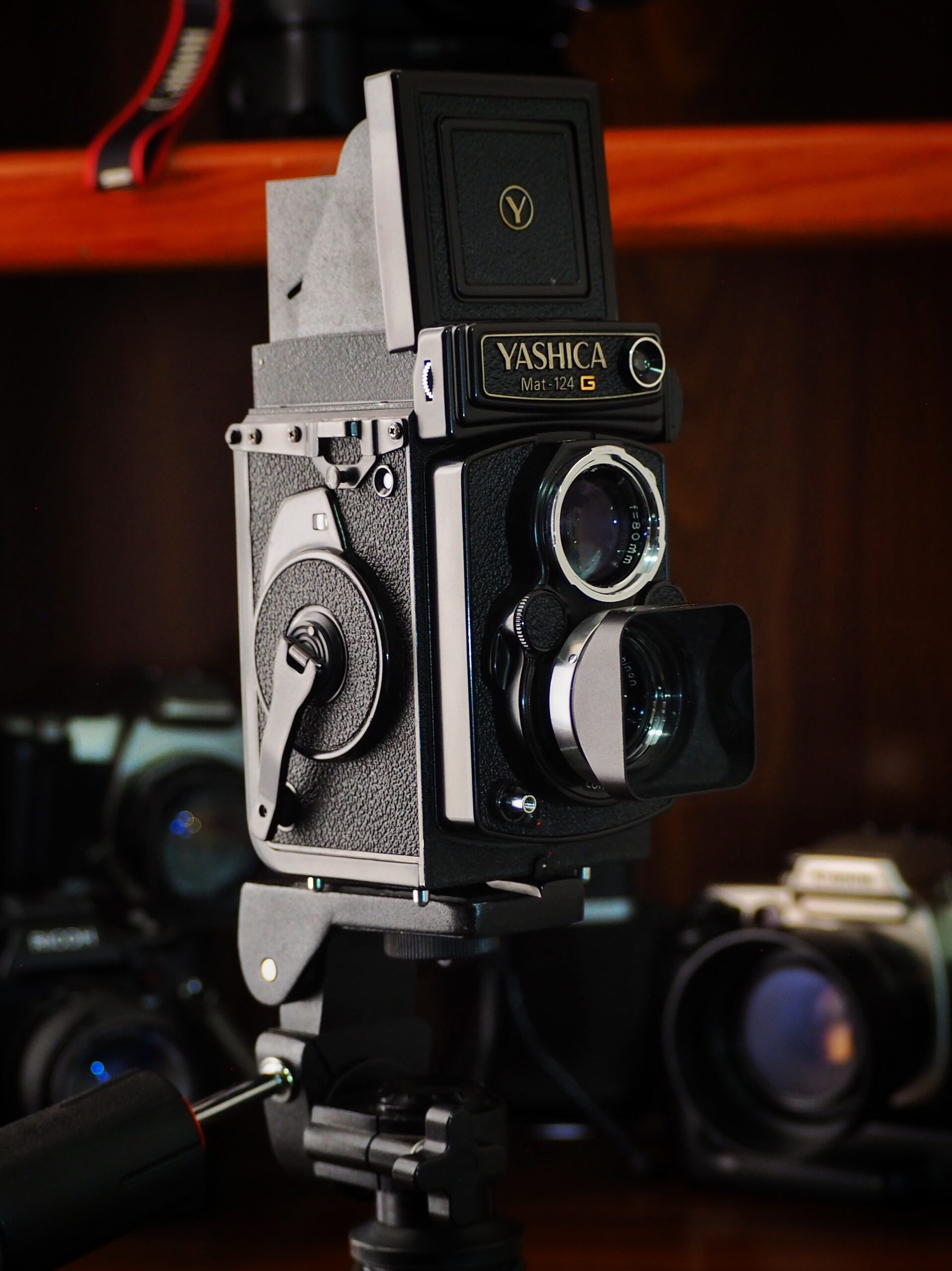 5 Photographs taken with a Yashica Mat 124G in the Zócalo of Mexico ...