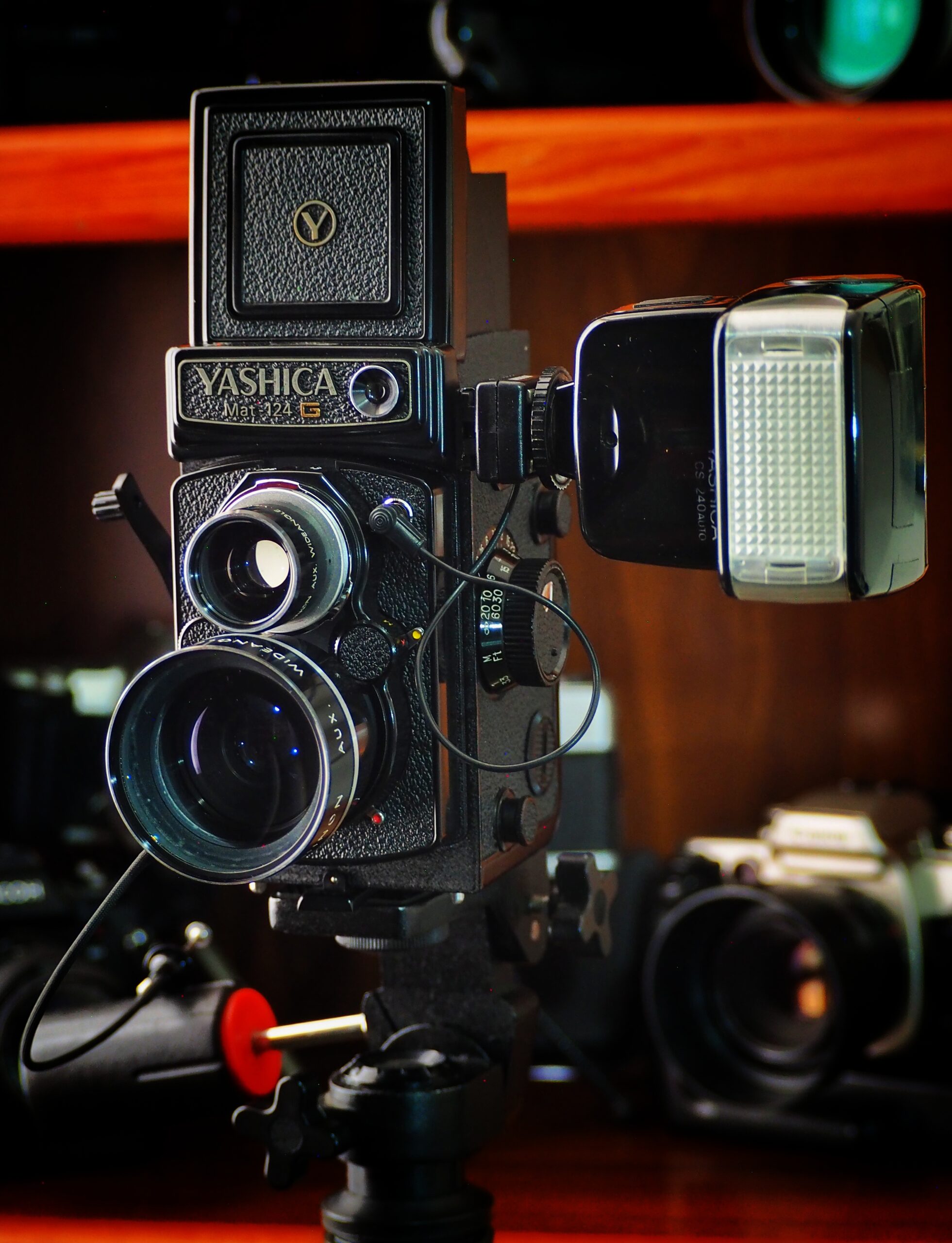 5 Photographs taken with a Yashica Mat 124G in the Zócalo of Mexico ...