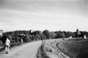 Adox HR-50 - A Better Aerial Film - 35mmc