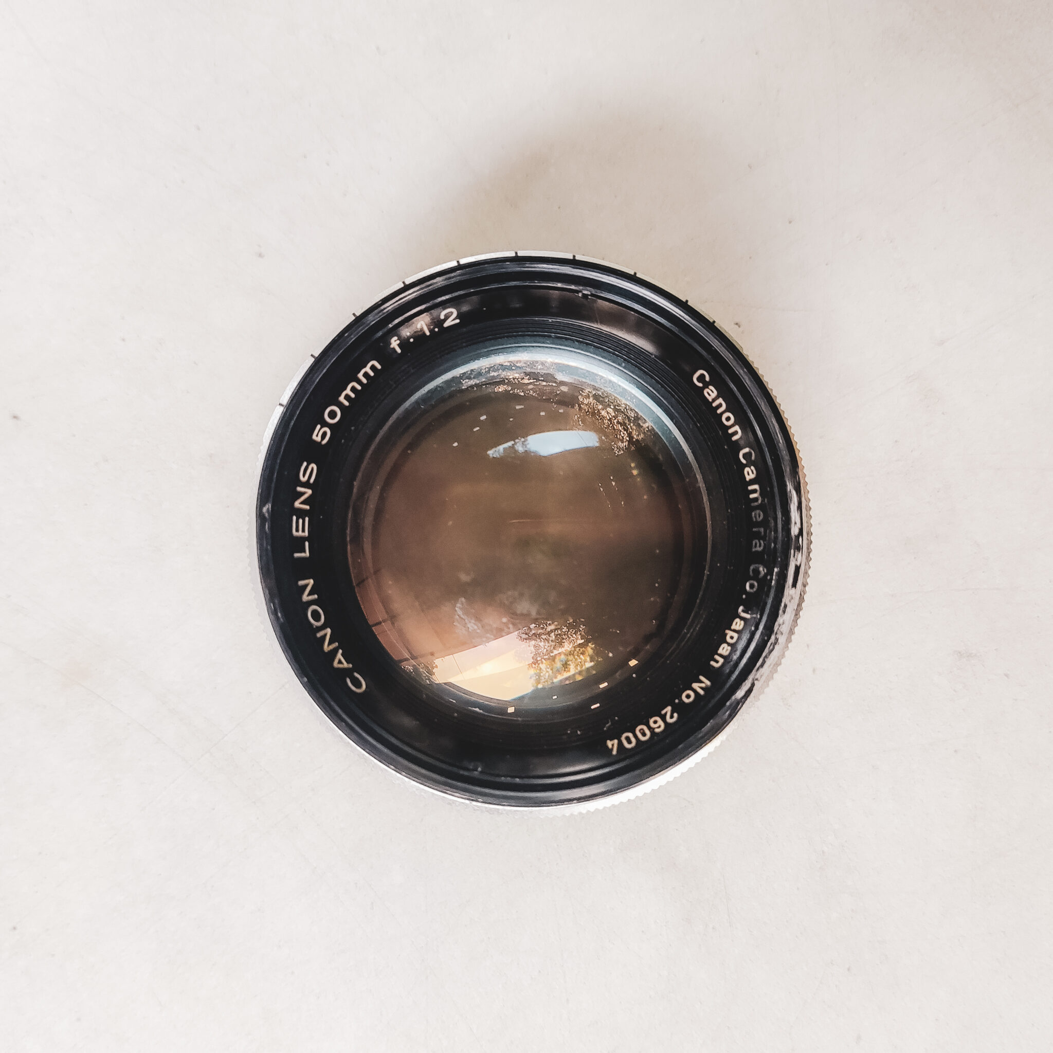 Canon 50mm 1.2 LTM First Impressions - Wading Through The Fog - 35mmc