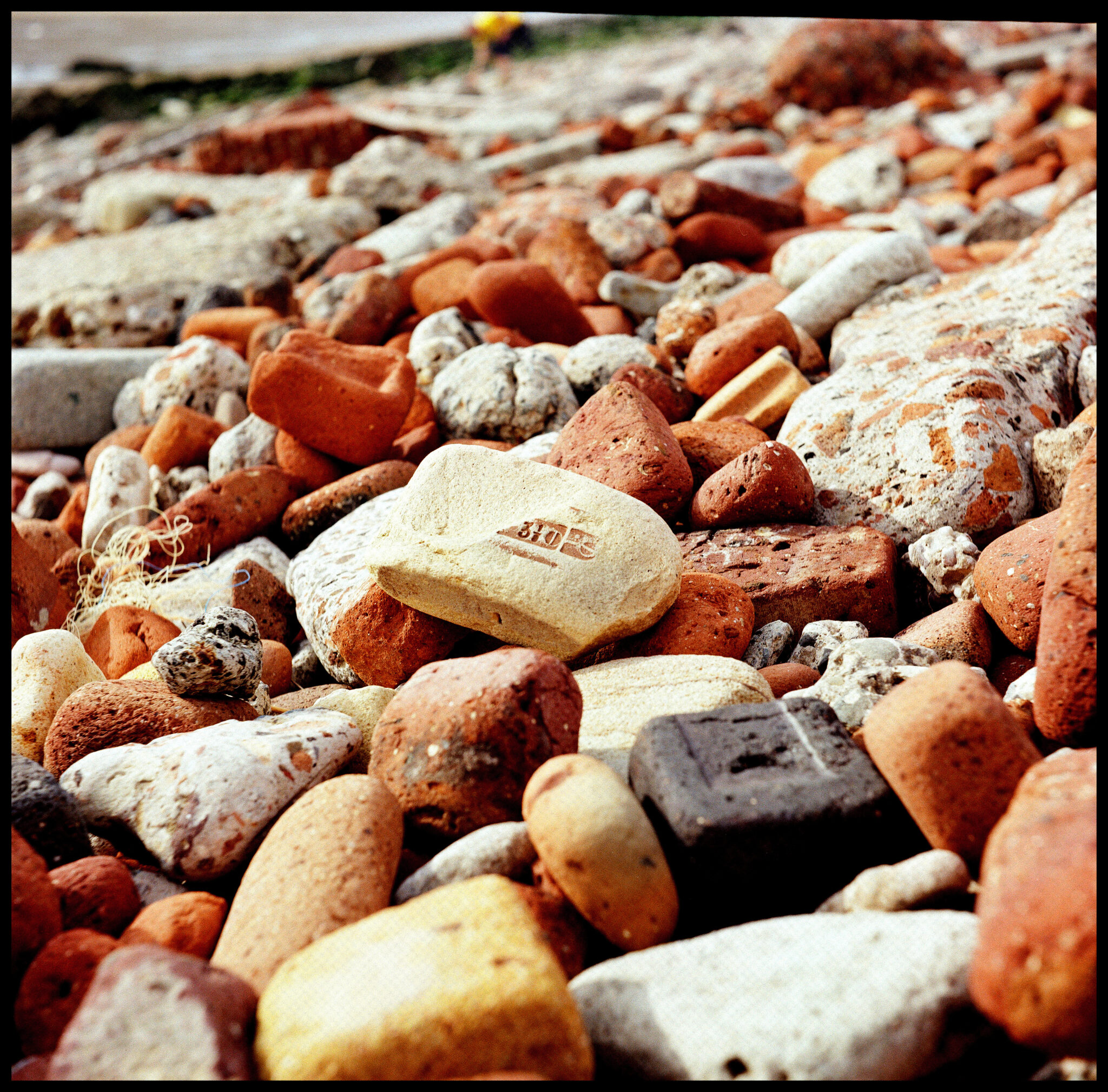 Crosby's Blitz Beach with a Yashica D and Kodak Gold 200 - The Whole ...